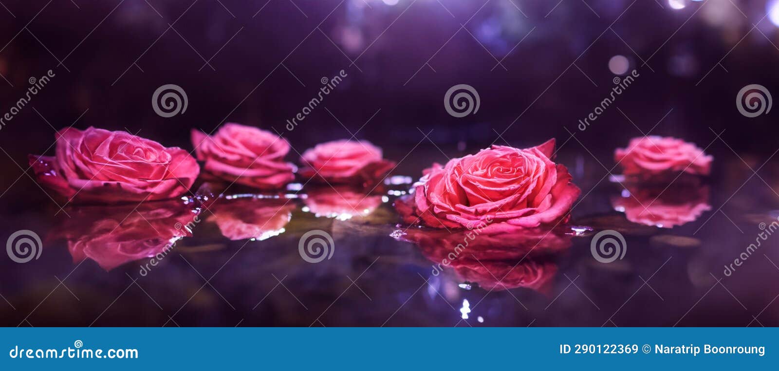 Roses Floating on the Water Mysterious Romantic Background Stock Image ...