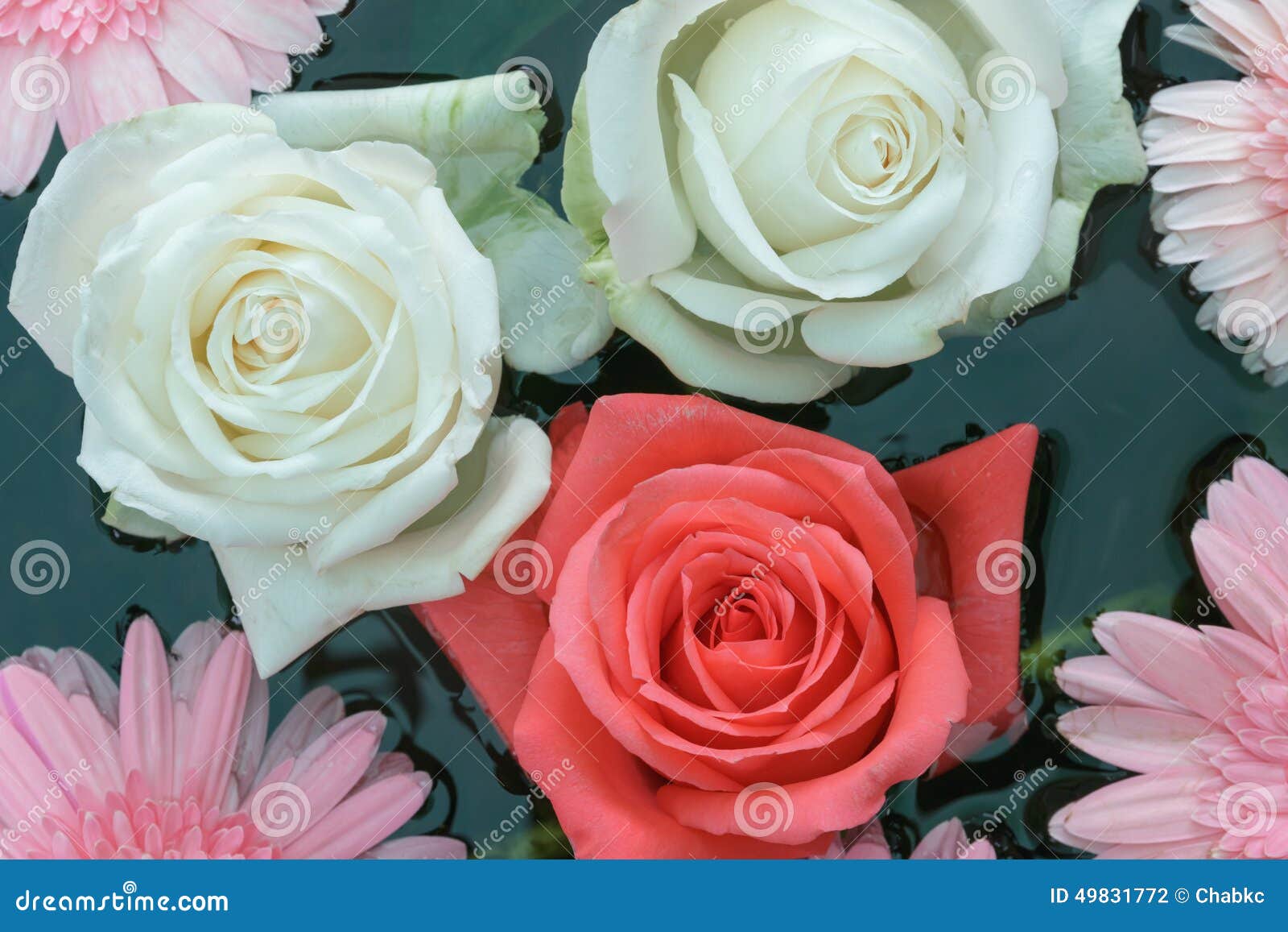 Roses Floating in the Water. Stock Photo - Image of floating, bunch ...