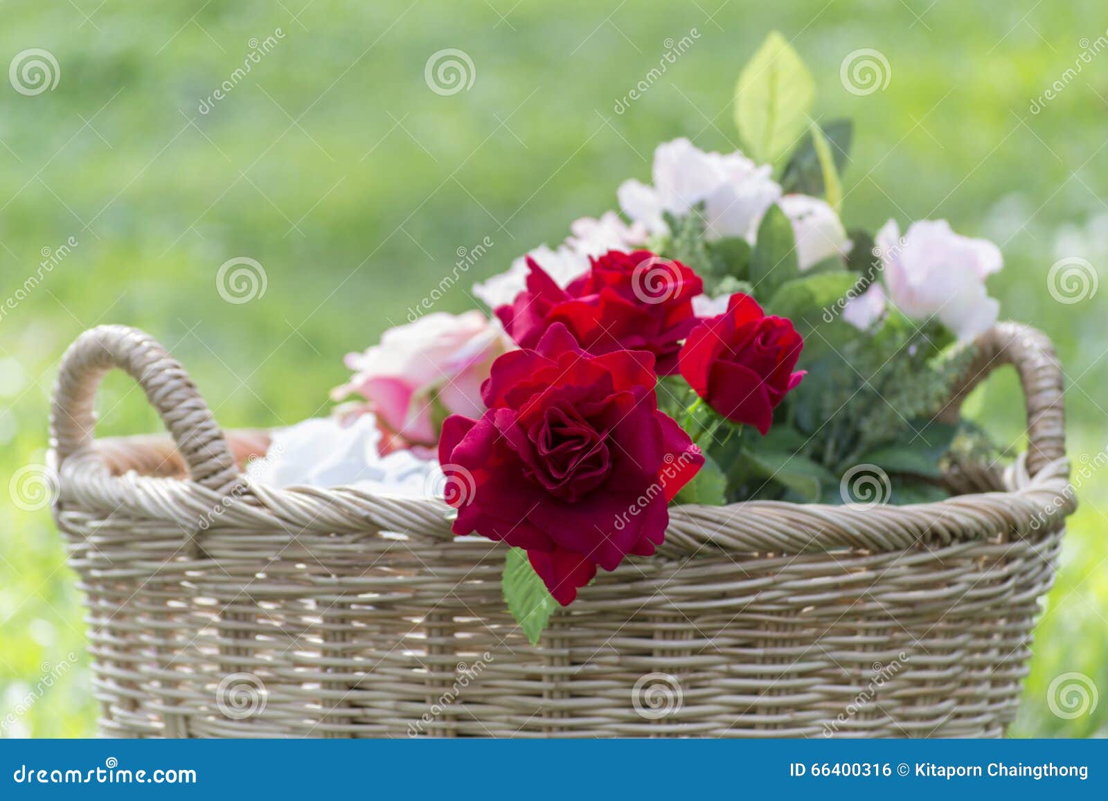 Roses flower in basket stock photo. Image of romance - 66400316
