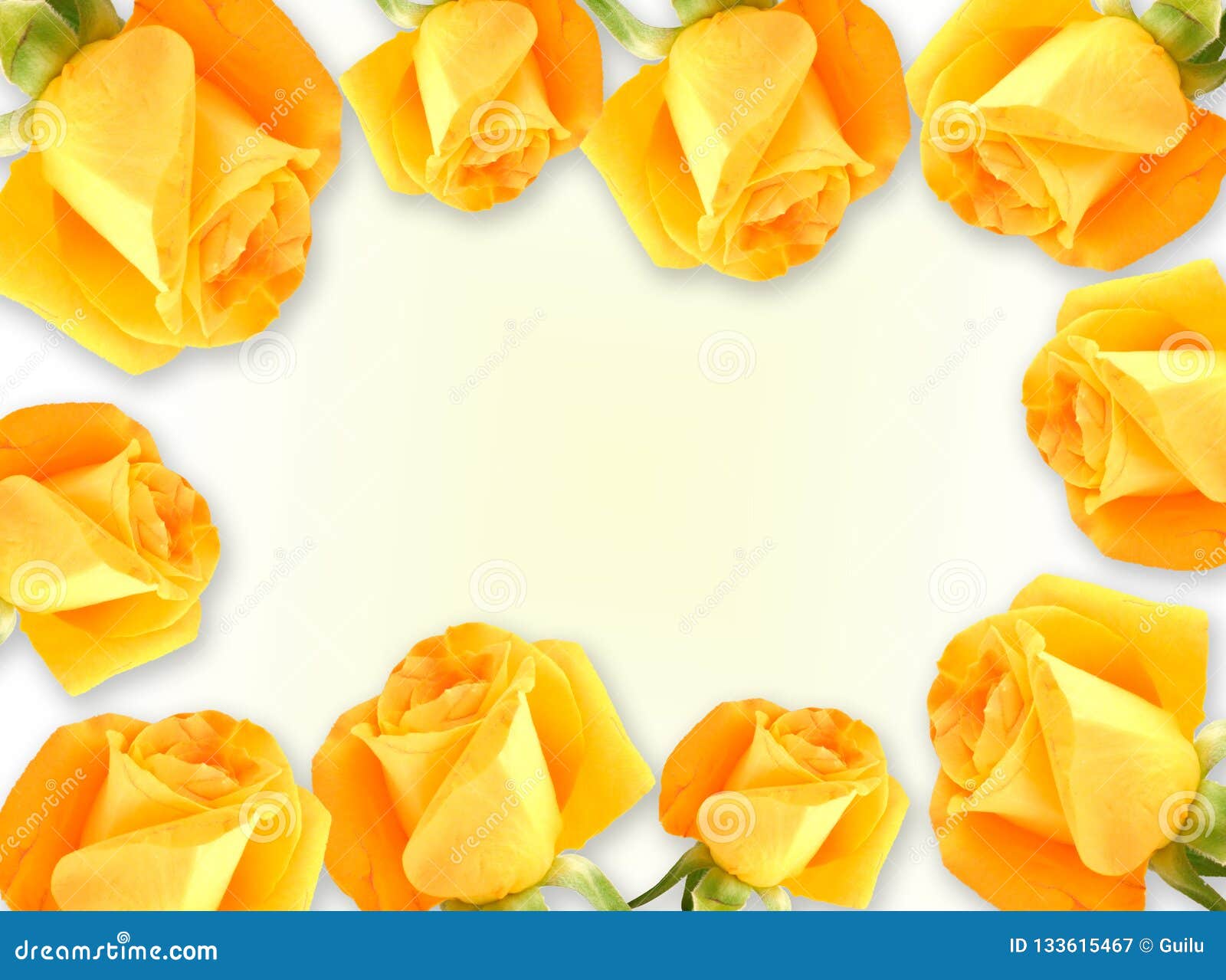 Roses frame stock image. Image of flora, frame, blooms - 133615467