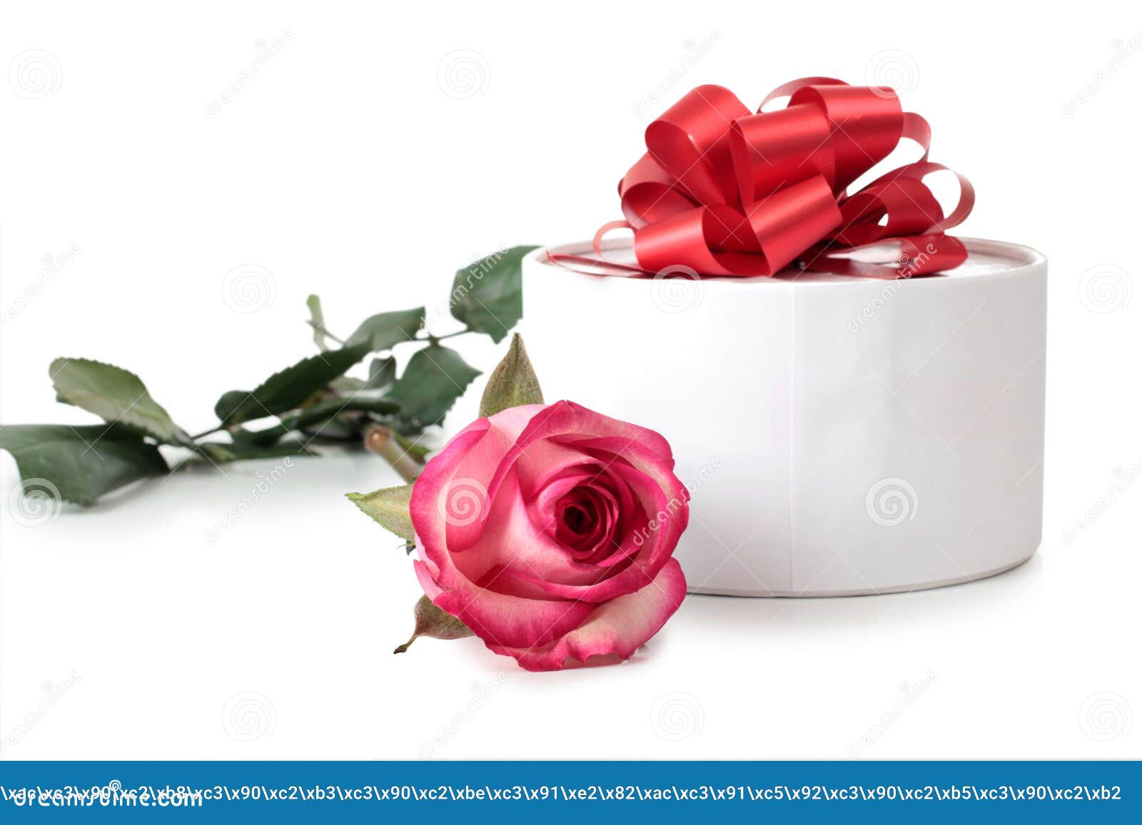 Roses and gift stock image. Image of beautiful, design - 29457489