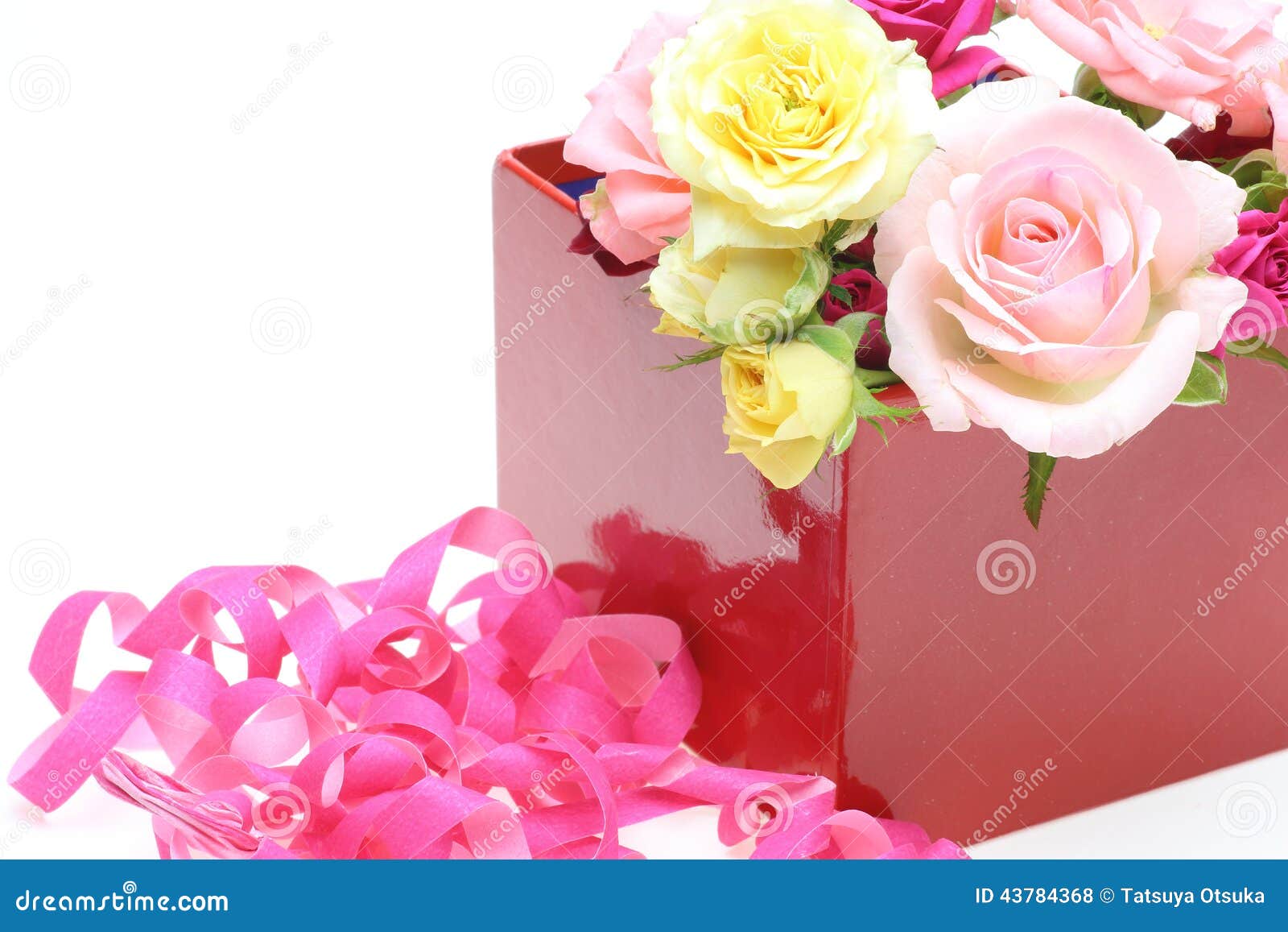 Roses in a Gift Box in a White Background Stock Photo - Image of shot ...