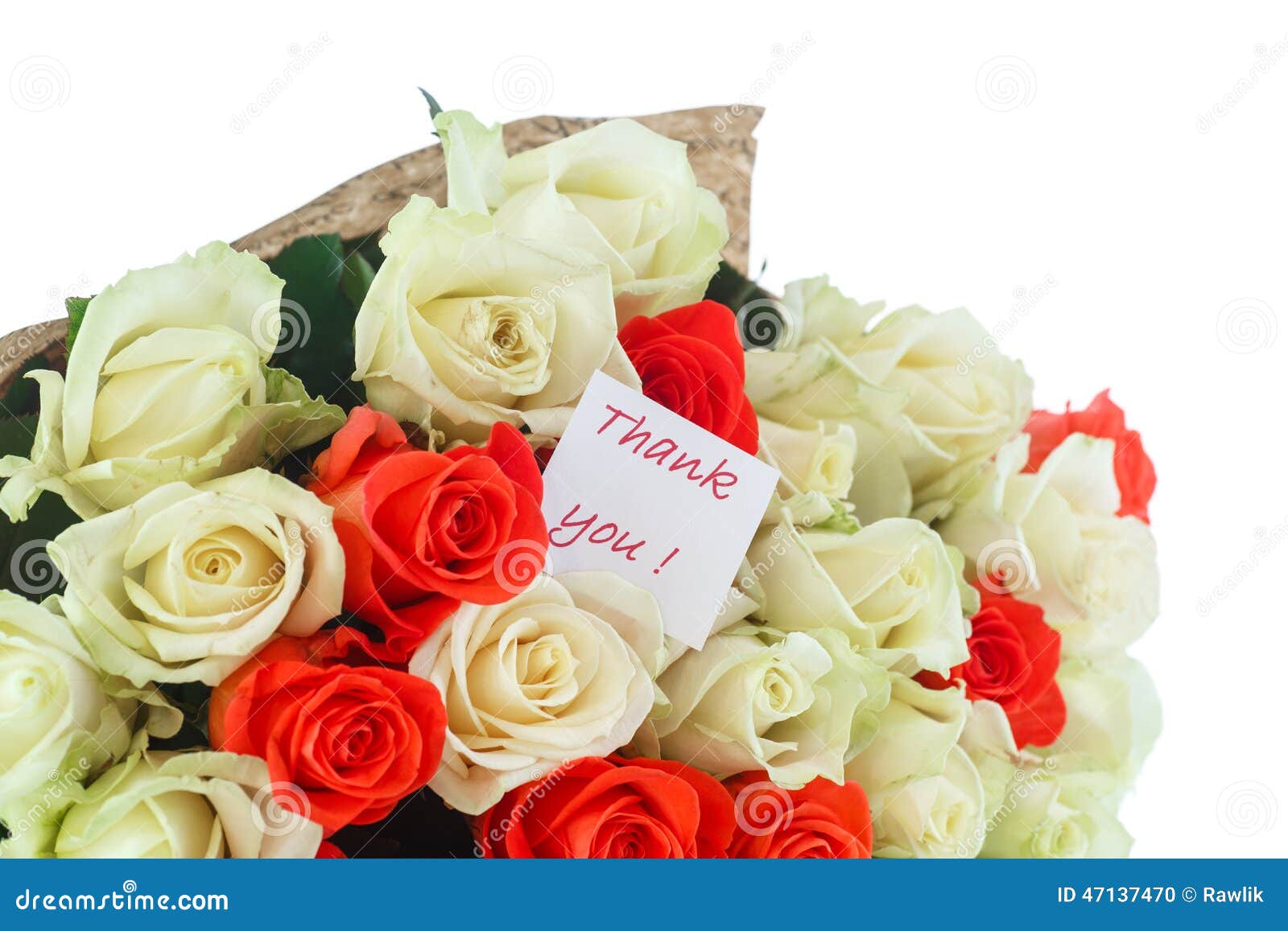Roses with gratitude stock photo. Image of natural, flora - 47137470