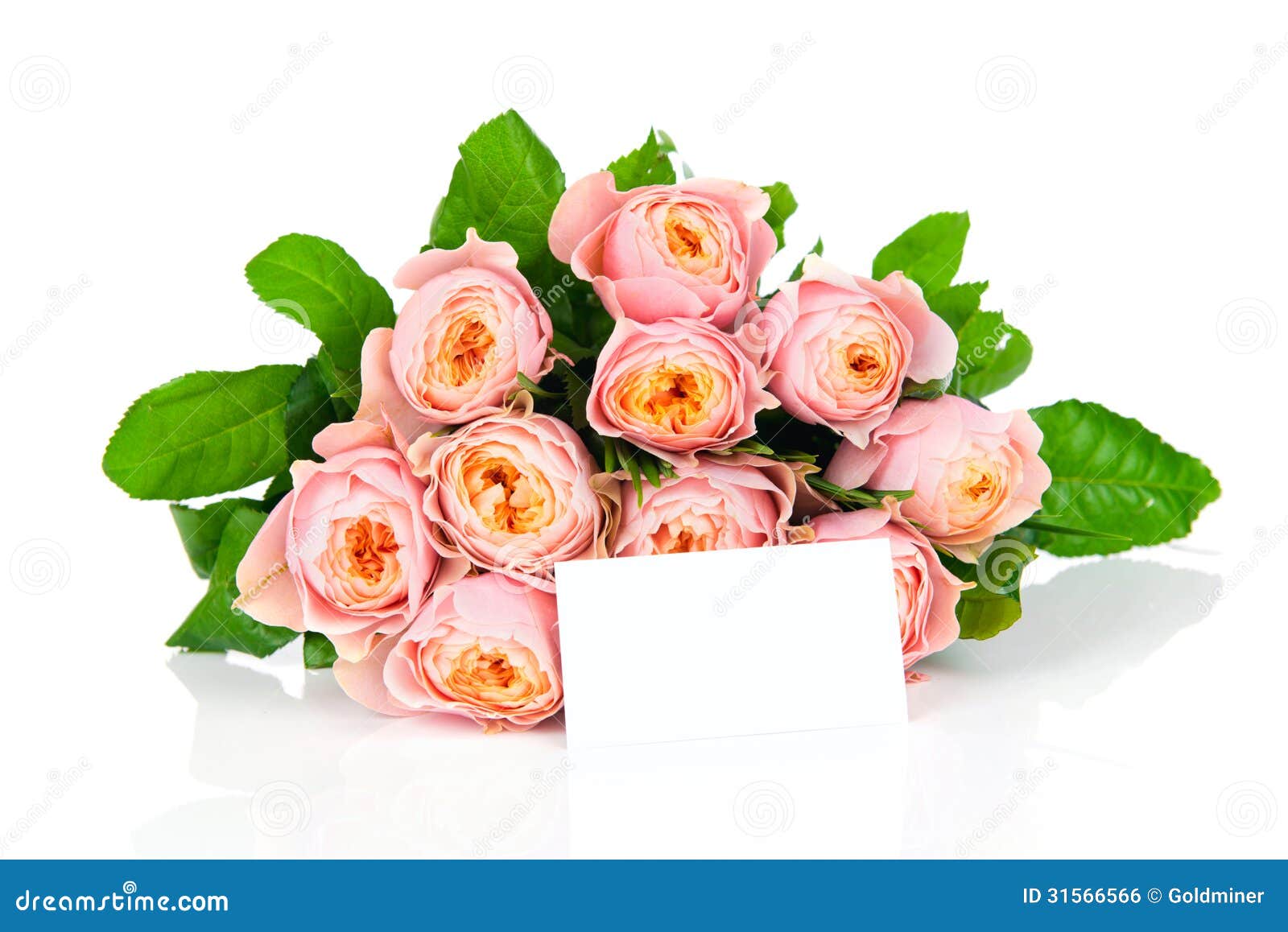 Roses and a greeting card stock photo. Image of gift - 31566566