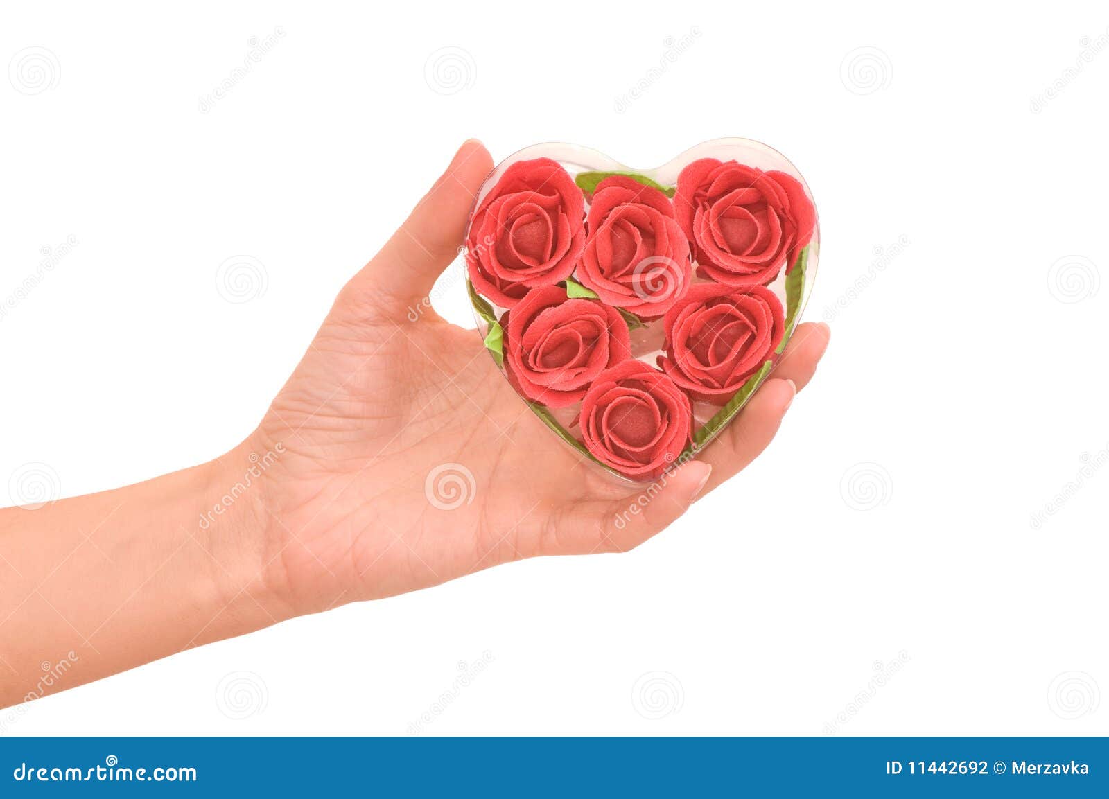 Roses in heart stock photo. Image of dating, isolated - 11442692