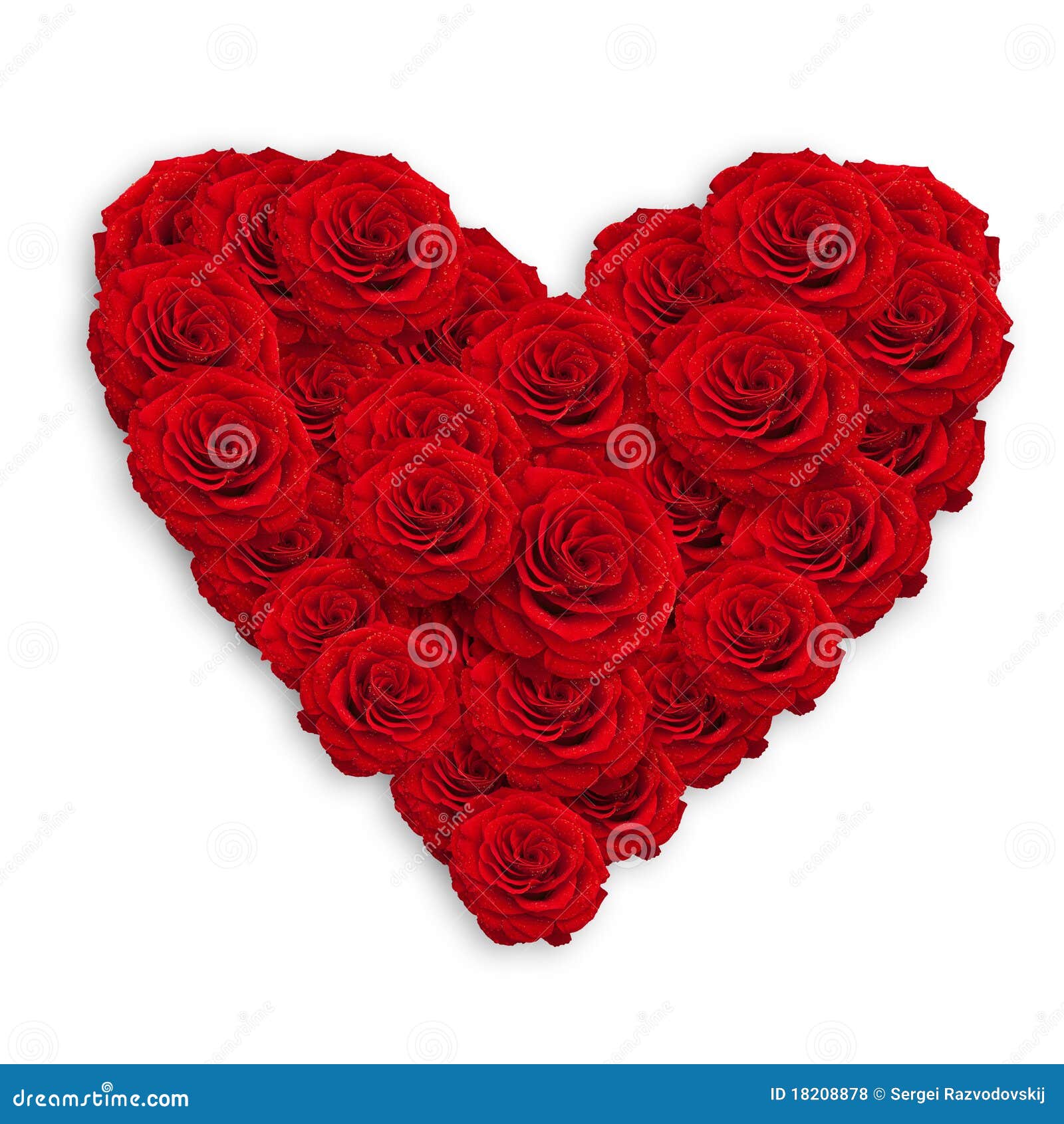 Roses heart stock photo. Image of beauty, nature, natural - 18208878