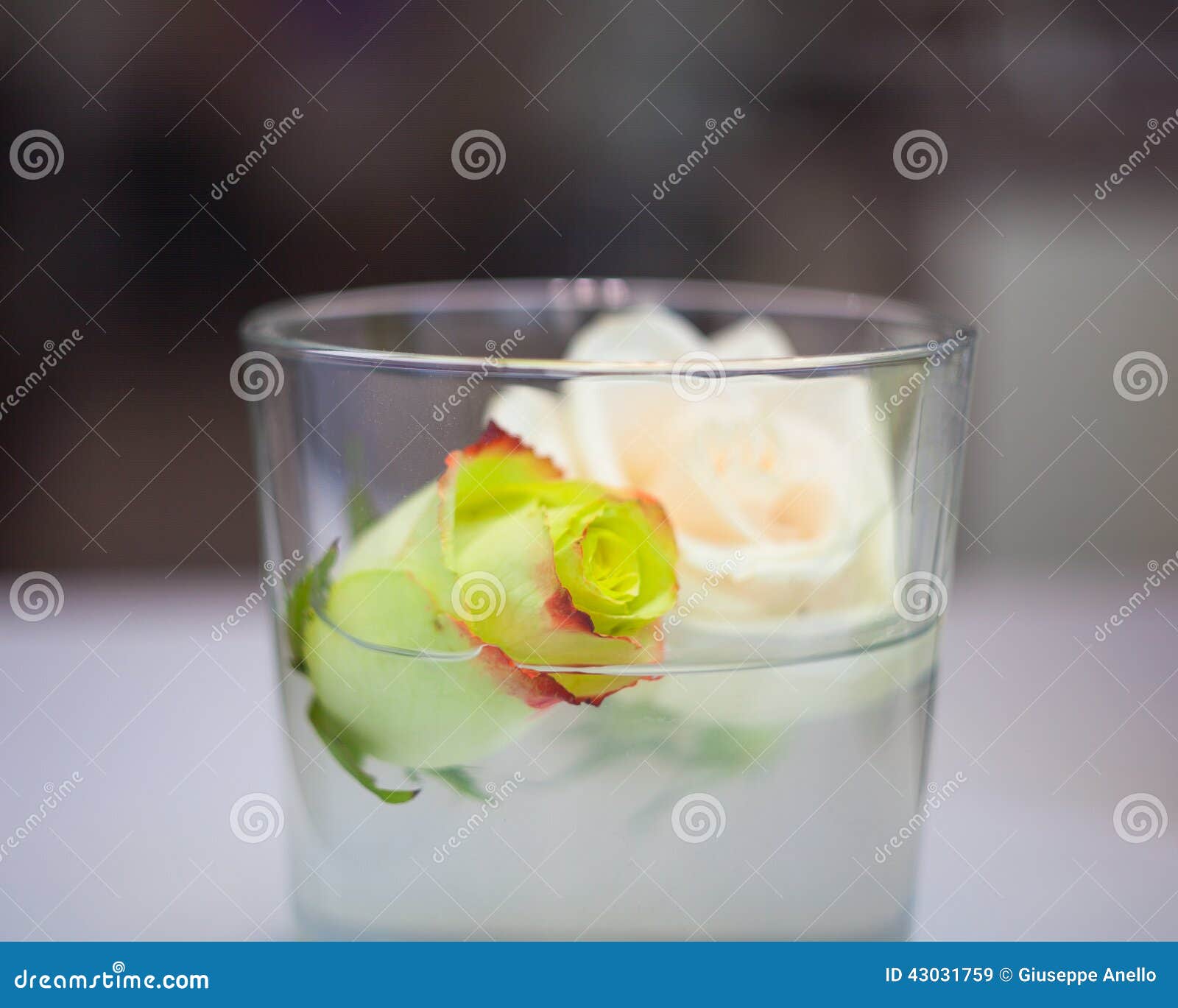 Roses inside the glass stock image. Image of botany, green - 43031759