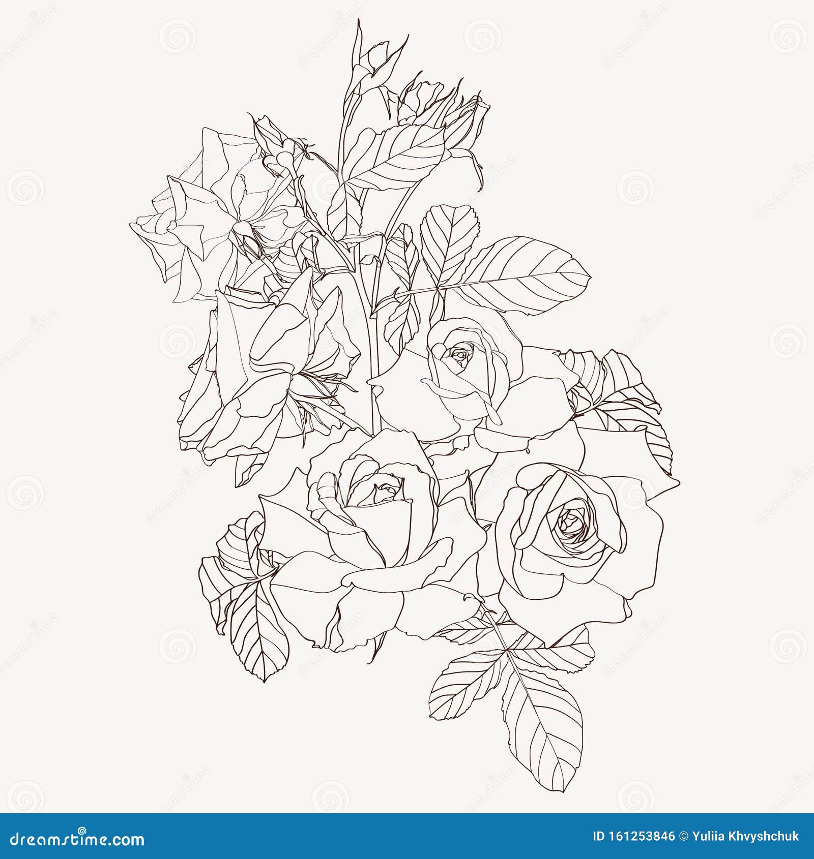 Hand Drawn Summer Vintage Beige Bouquet: Rustic Roses, Line Art. Stock ...