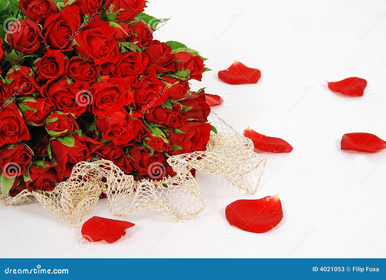 Roses with love stock image. Image of laying, gift, propose - 4021053