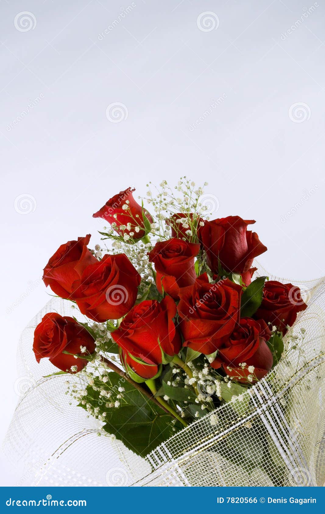 Roses of love stock photo. Image of luxury, event, romance - 7820566