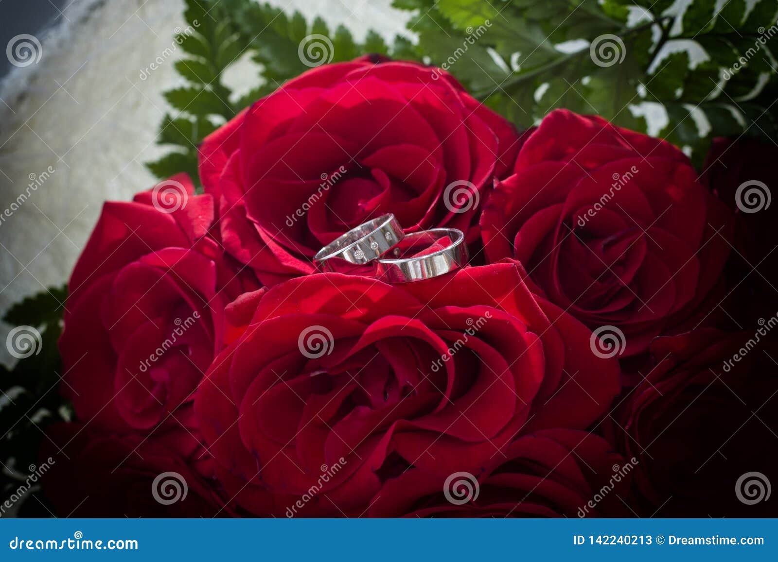 Roses in love with rings stock image. Image of wedding - 142240213