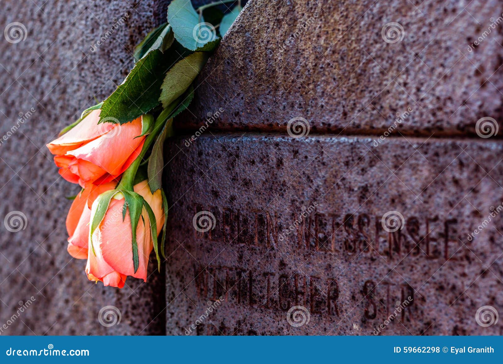Roses on a memorial wall editorial stock photo. Image of tribute - 59662298
