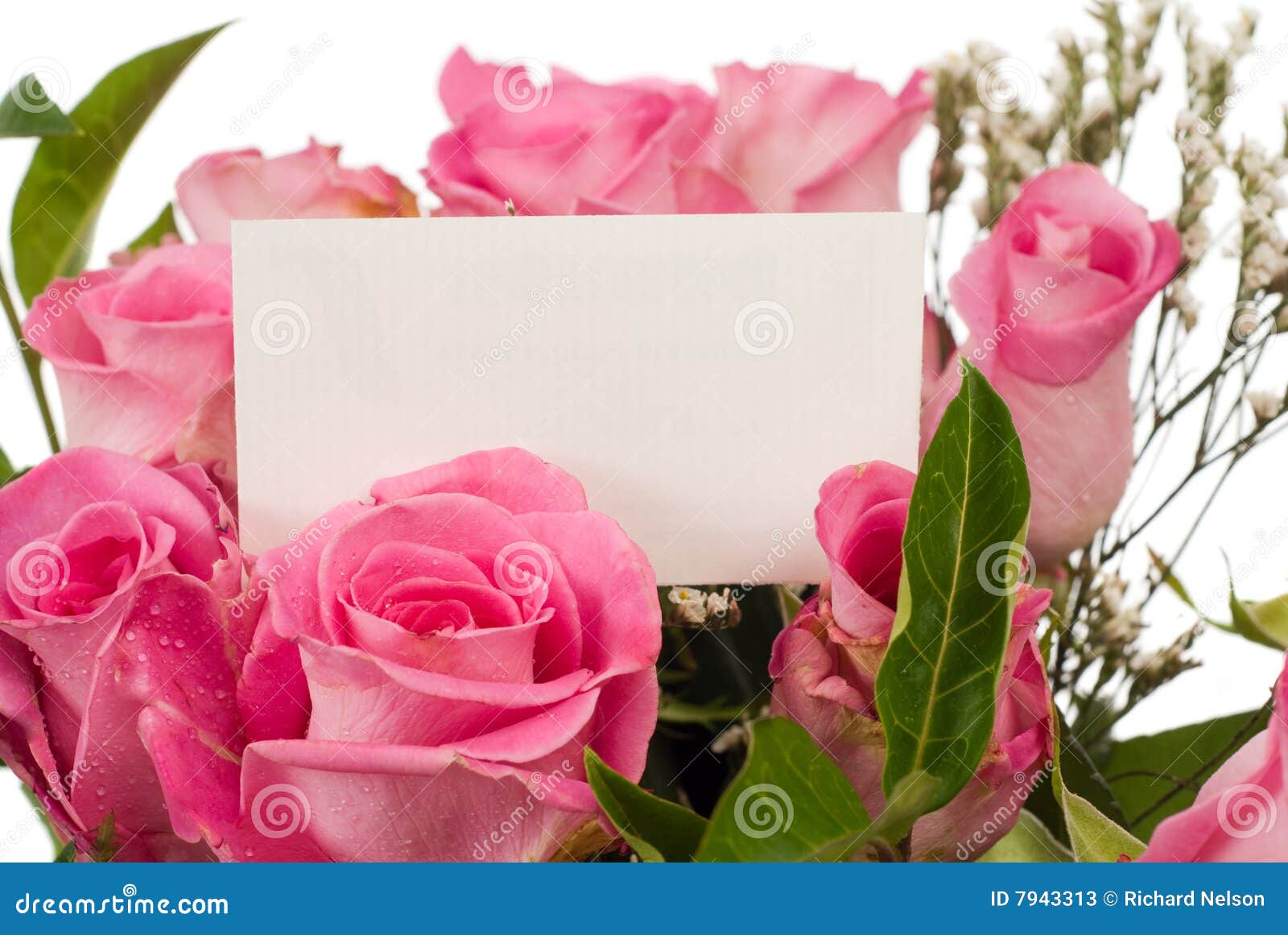 Roses and Message Card stock image. Image of blank, card - 7943313