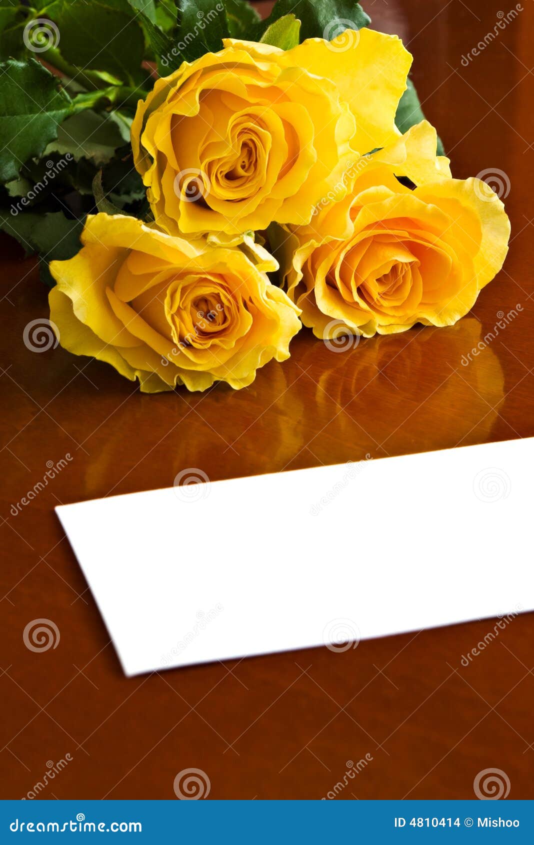 Roses with note stock photo. Image of bloom, nature, head - 4810414