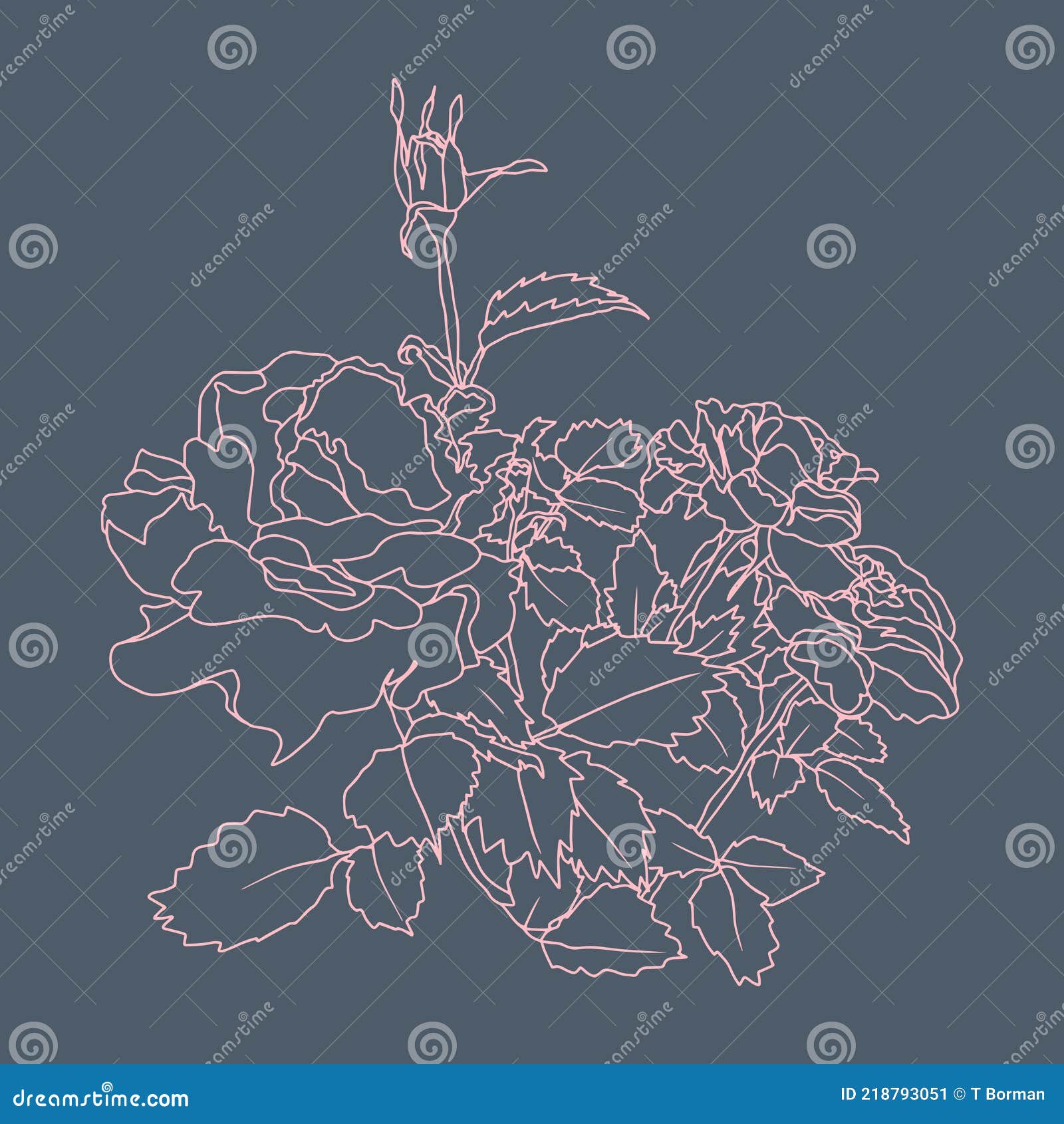 Roses Open and Closed Buds with Leaves and Branches Blue Isolated ...