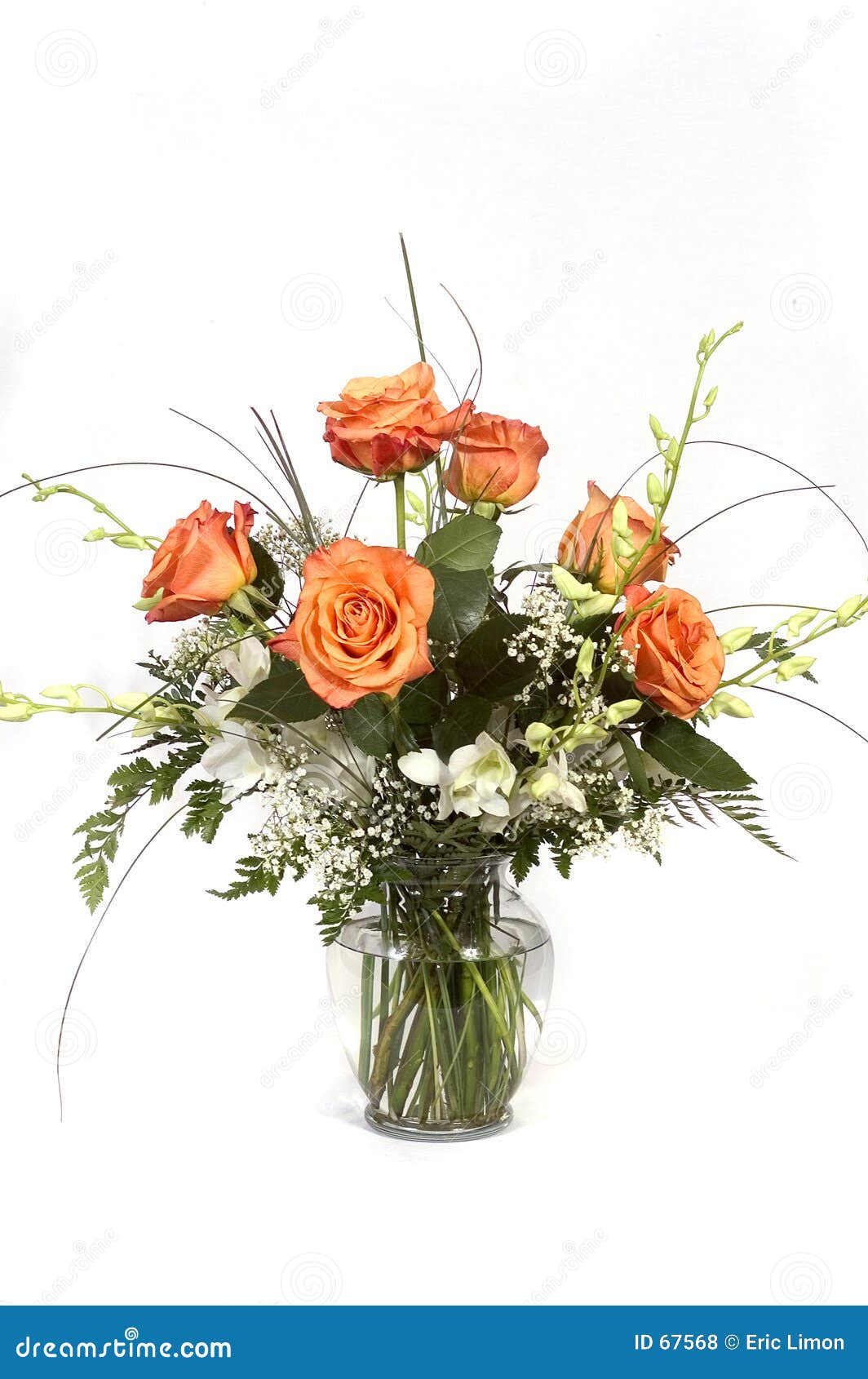 Roses and orchids stock photo. Image of fresh, beautiful - 67568