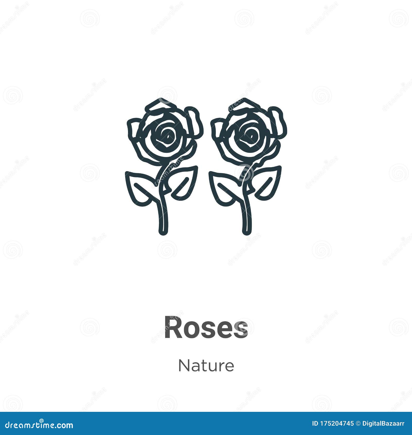 Two Roses Outline, Silhouette, Vector Illustration, Black And White ...