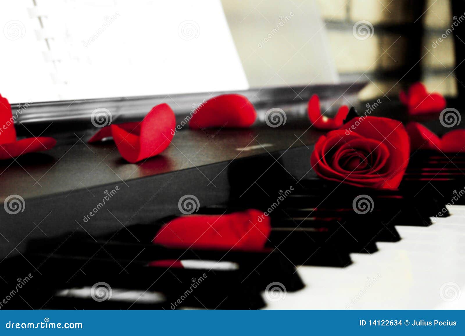 Roses on the piano stock photo. Image of play, amaze - 14122634