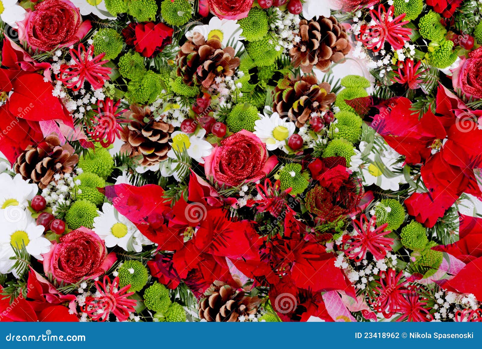 Roses and Pine Cones Decoration Stock Photo - Image of flower, flora ...