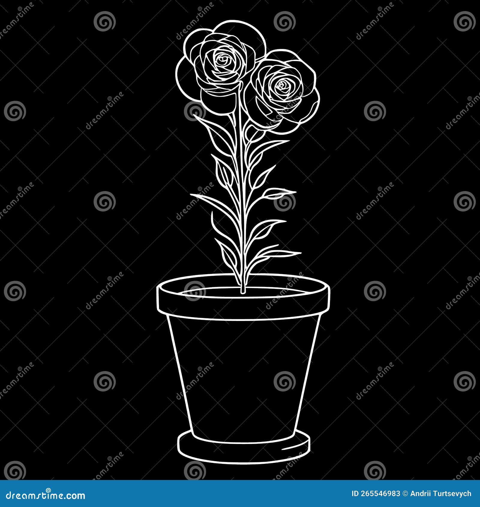 Roses in Pot White Continuous Line Vector on Black Stock Vector ...