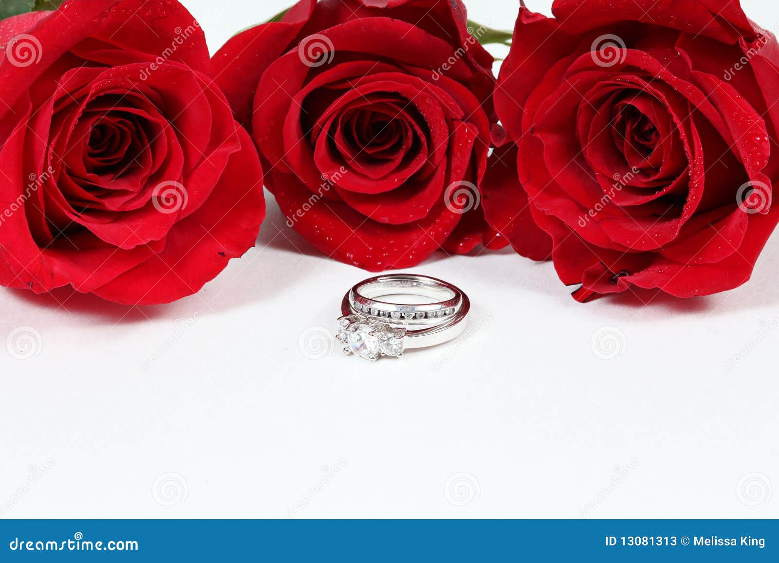 Roses & Ring stock image. Image of wedding, love - 13081313