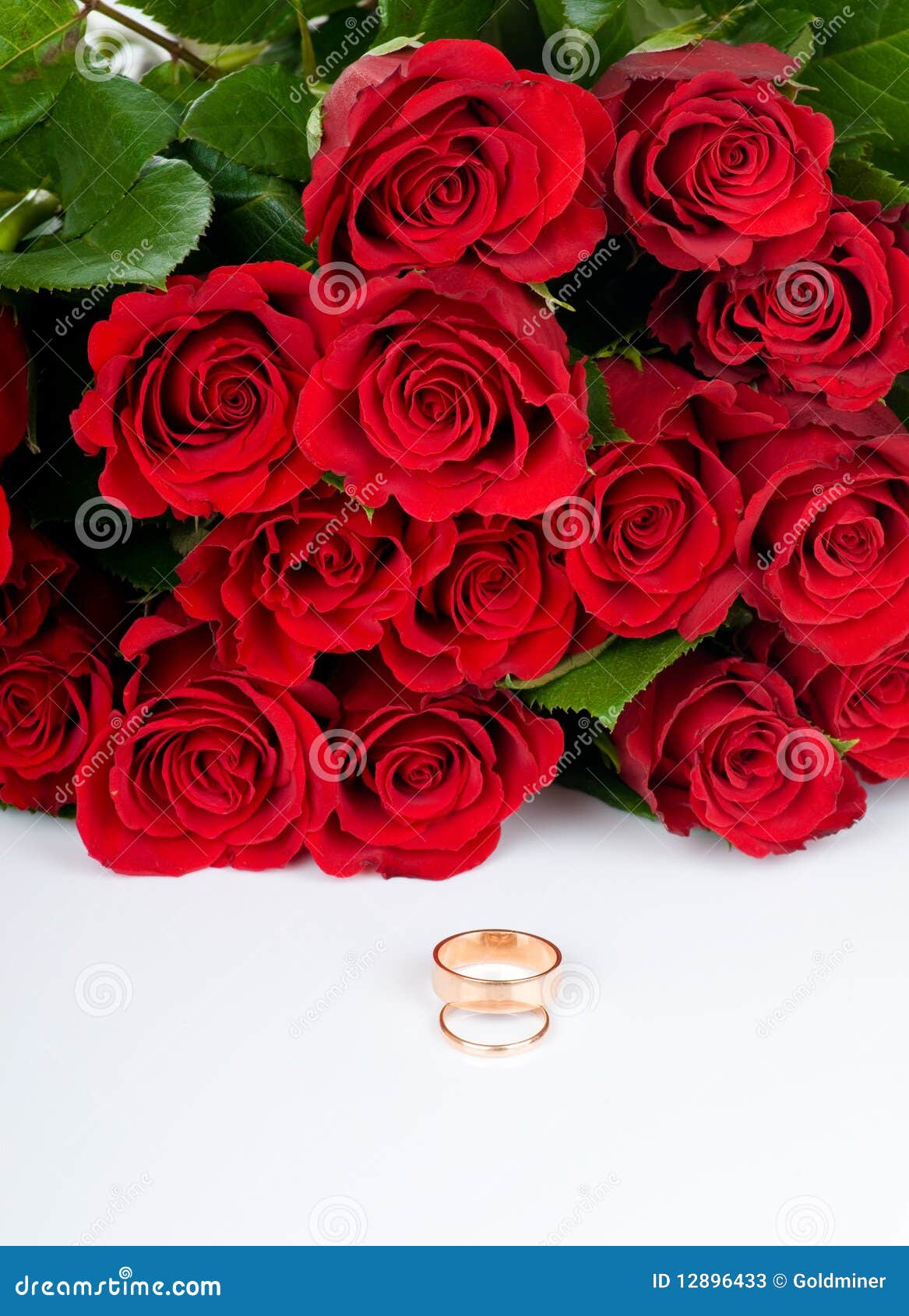 Roses and rings stock image. Image of elegant, beauty - 12896433
