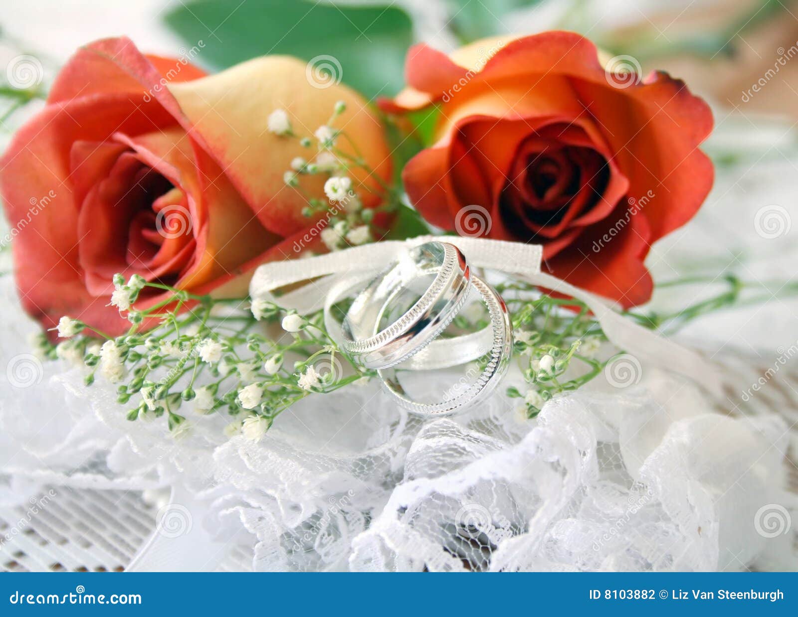 Roses and Rings stock photo. Image of petals, rings, vase - 8103882