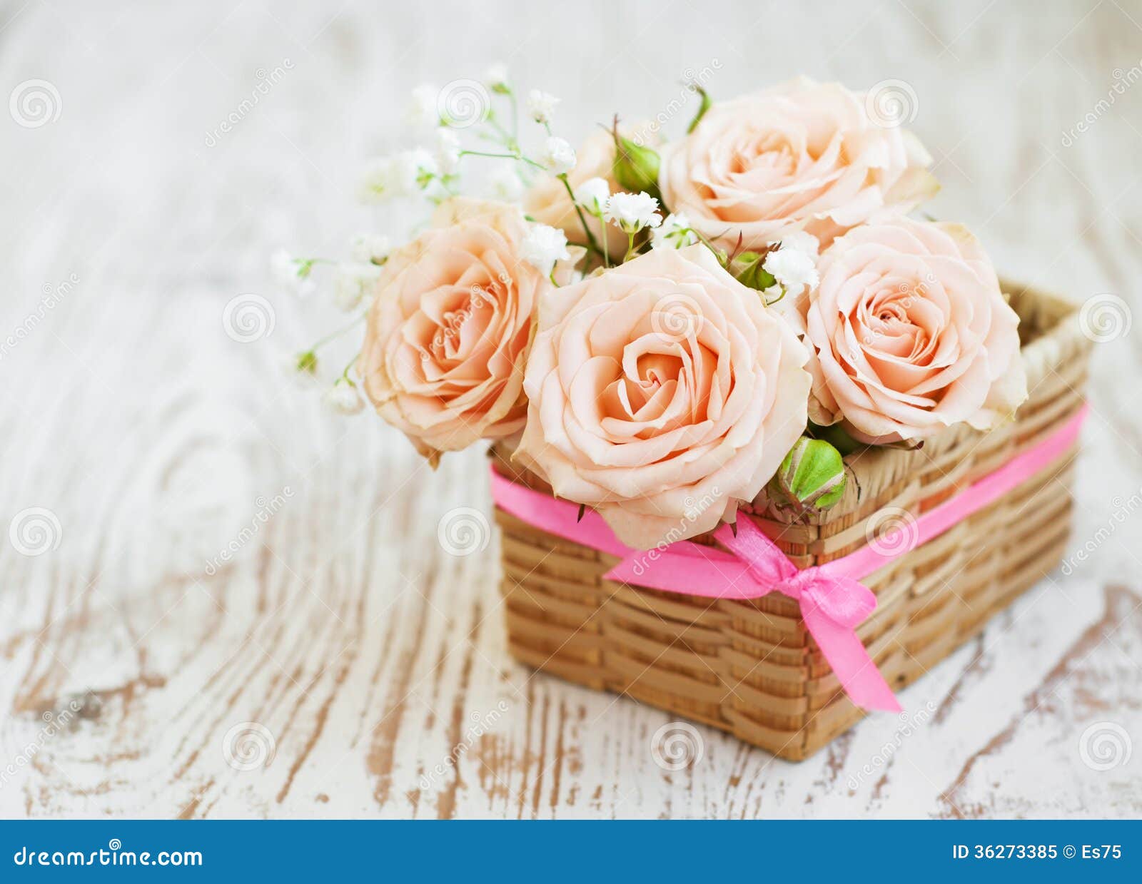 Roses rose-clair image stock. Image du amour, fleurs - 36273385