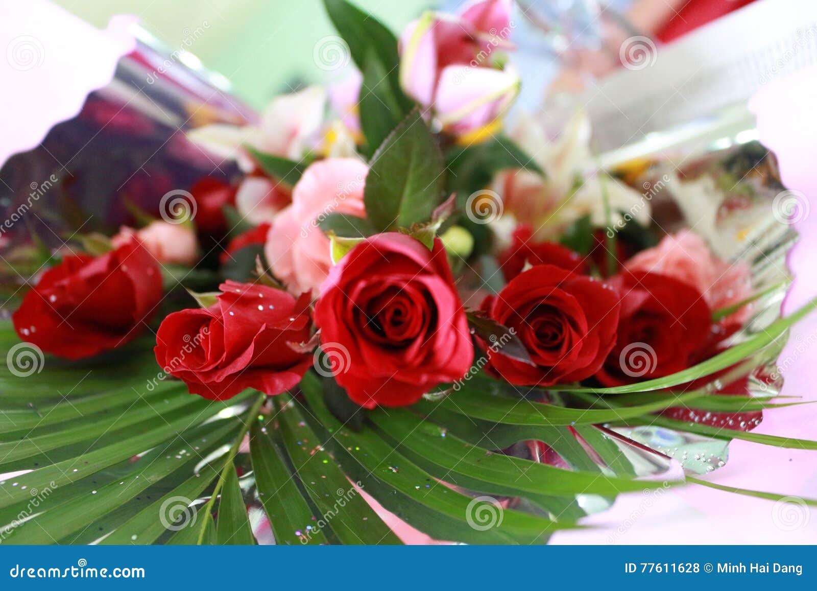 Roses stock photo. Image of flower, roses, flowers, rose - 77611628