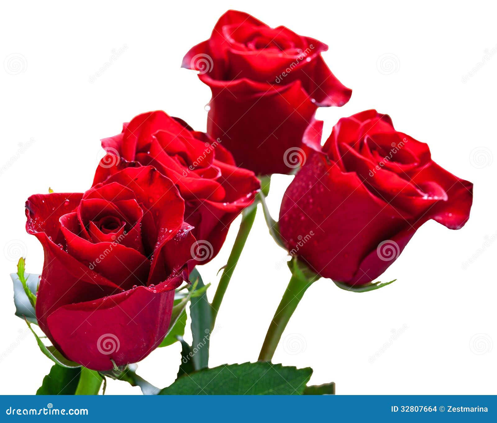 Roses rouge foncé photo stock. Image du cadeau, odeur - 32807664