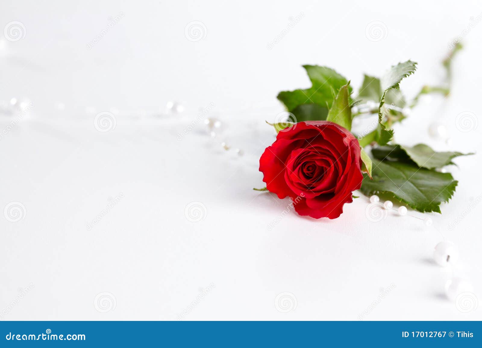 Roses rouges image stock. Image du aromathérapie, floral - 17012767
