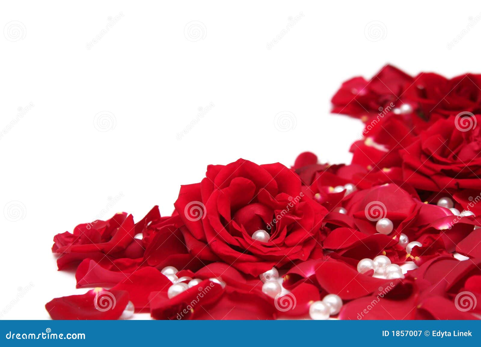 Roses rouges image stock. Image du coeurs, baisse, tissu - 1857007