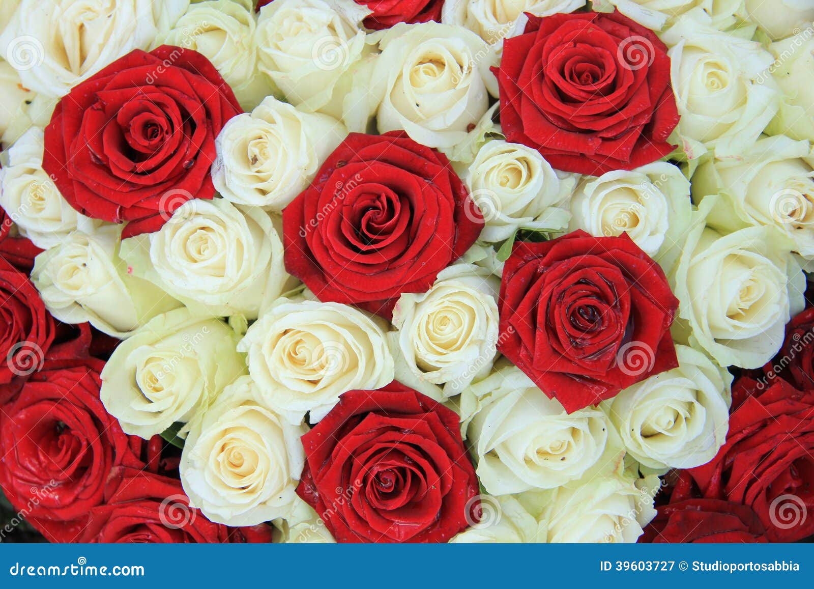 Roses Rouges Et Blanches Dans Une Disposition De Mariage Image stock ...