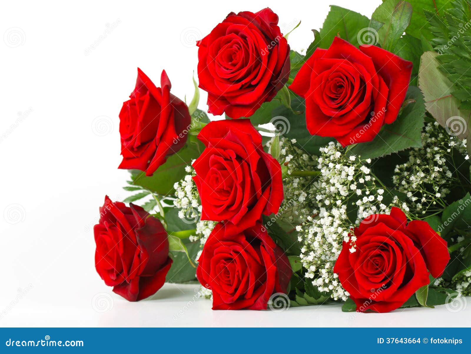 Roses rouges et gypsophila photo stock. Image du fond - 37643664