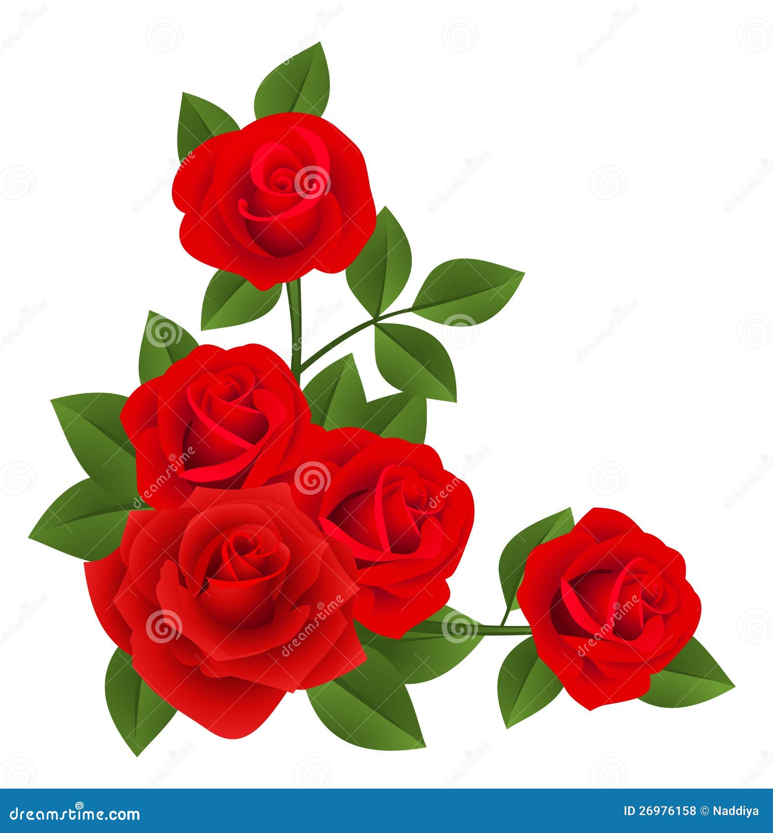 Roses Rouges. Illustration De Vecteur. Illustration de Vecteur ...