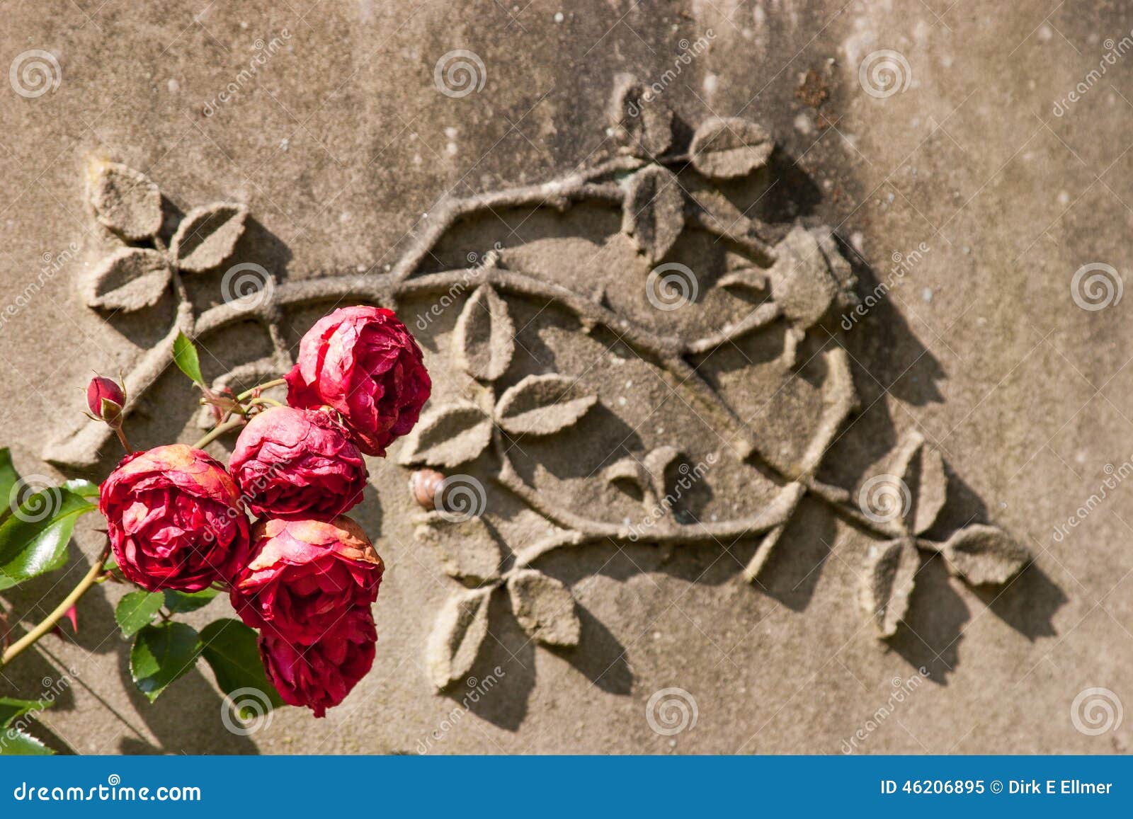 Roses and Sandstone stock image. Image of spirituality - 46206895