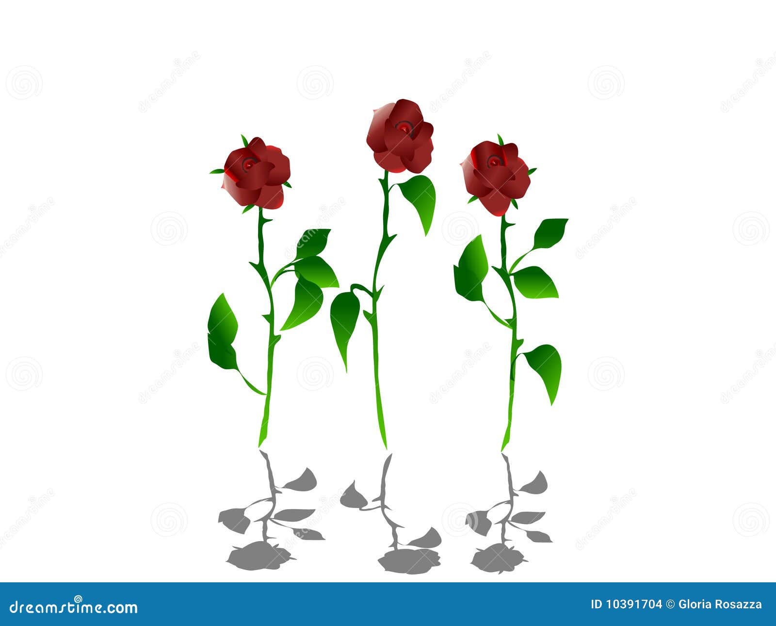 Roses with shadows stock illustration. Illustration of abstraction ...
