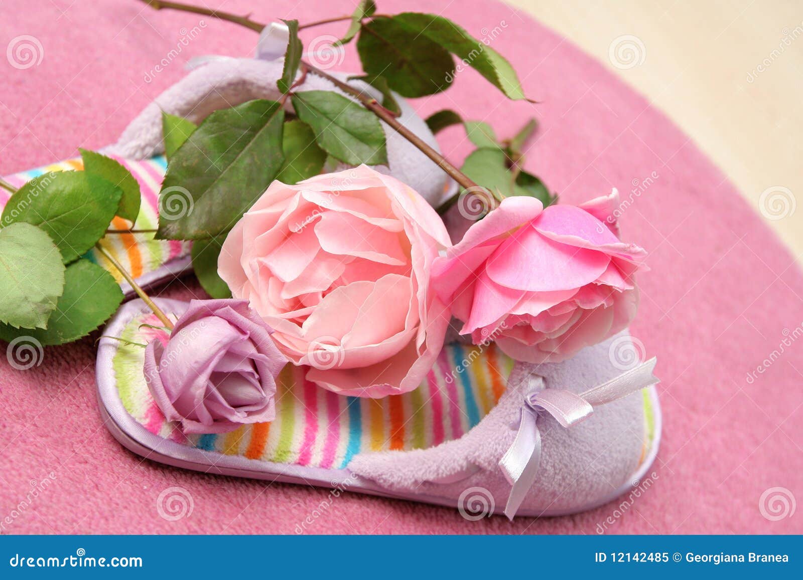 Roses and Slippers stock image. Image of focus, love - 12142485