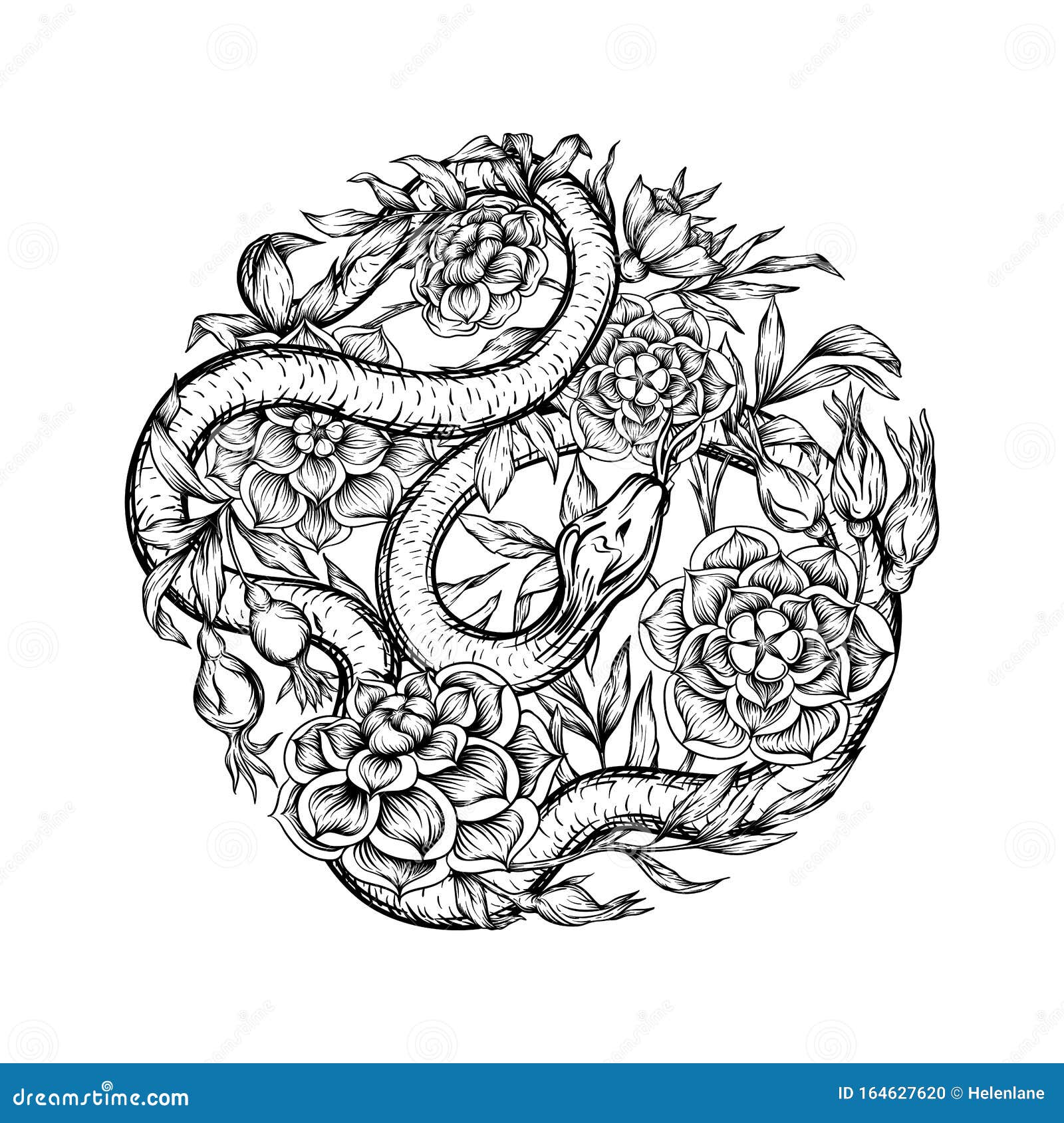 Roses and snake stock vector. Illustration of delicate - 164627620