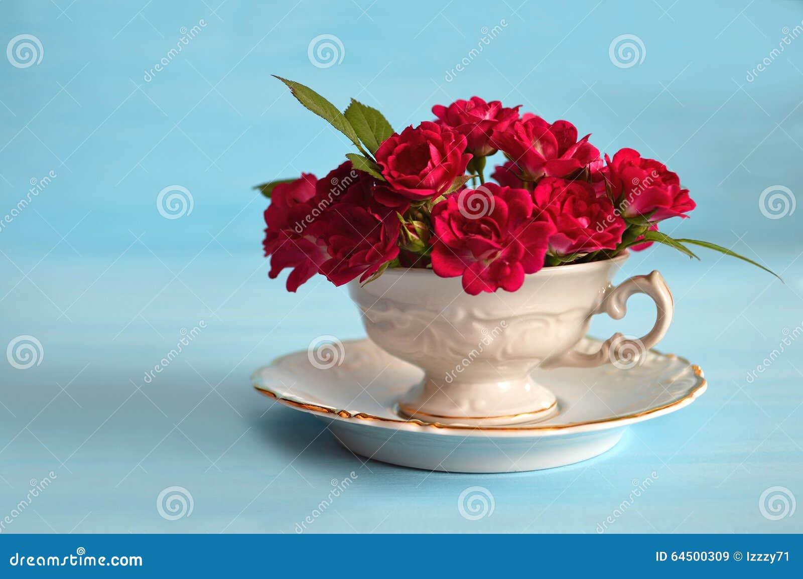 Roses in Tea Cup on Blue Background Stock Image - Image of design ...