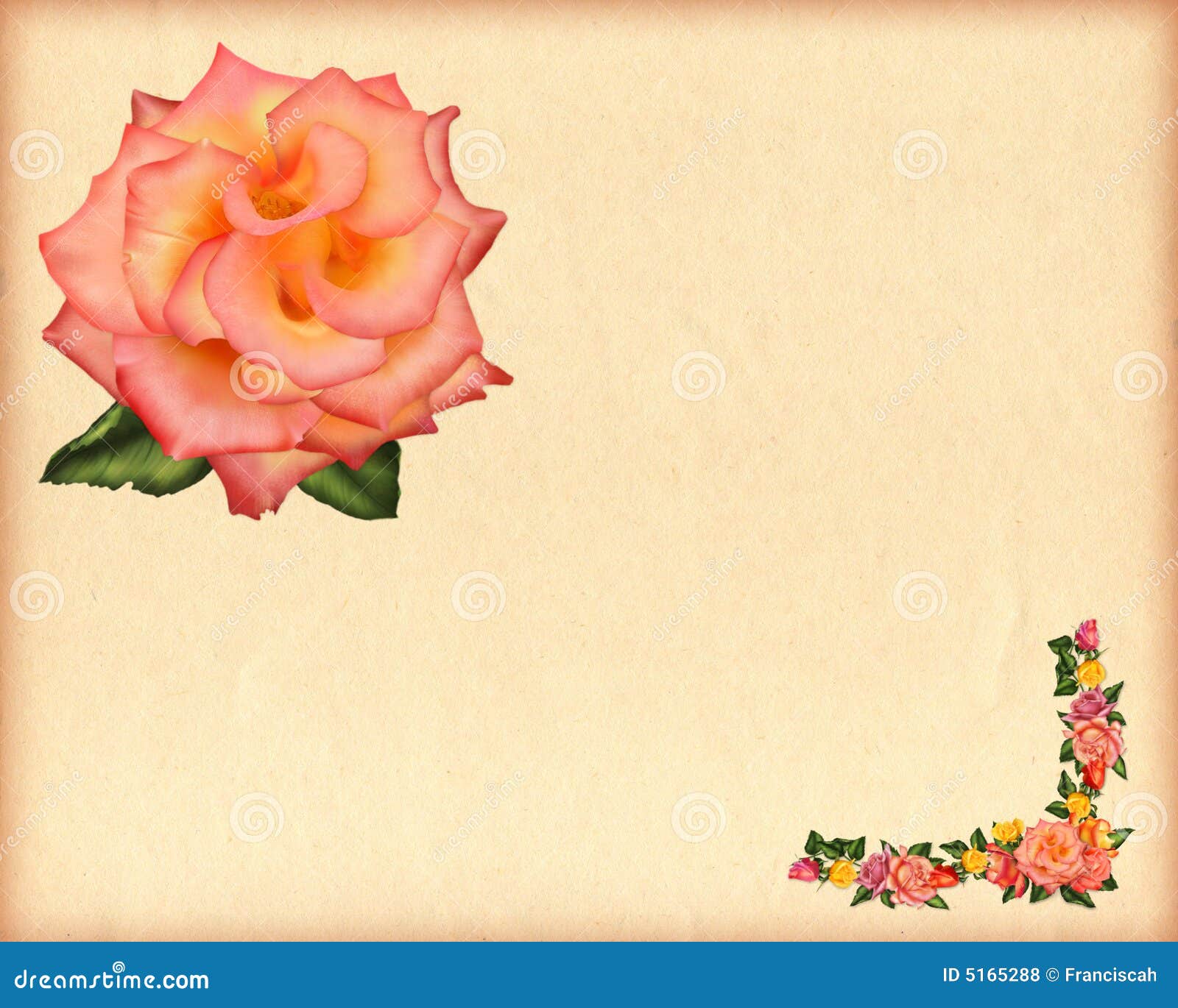 Roses to remember stock illustration. Illustration of border - 5165288