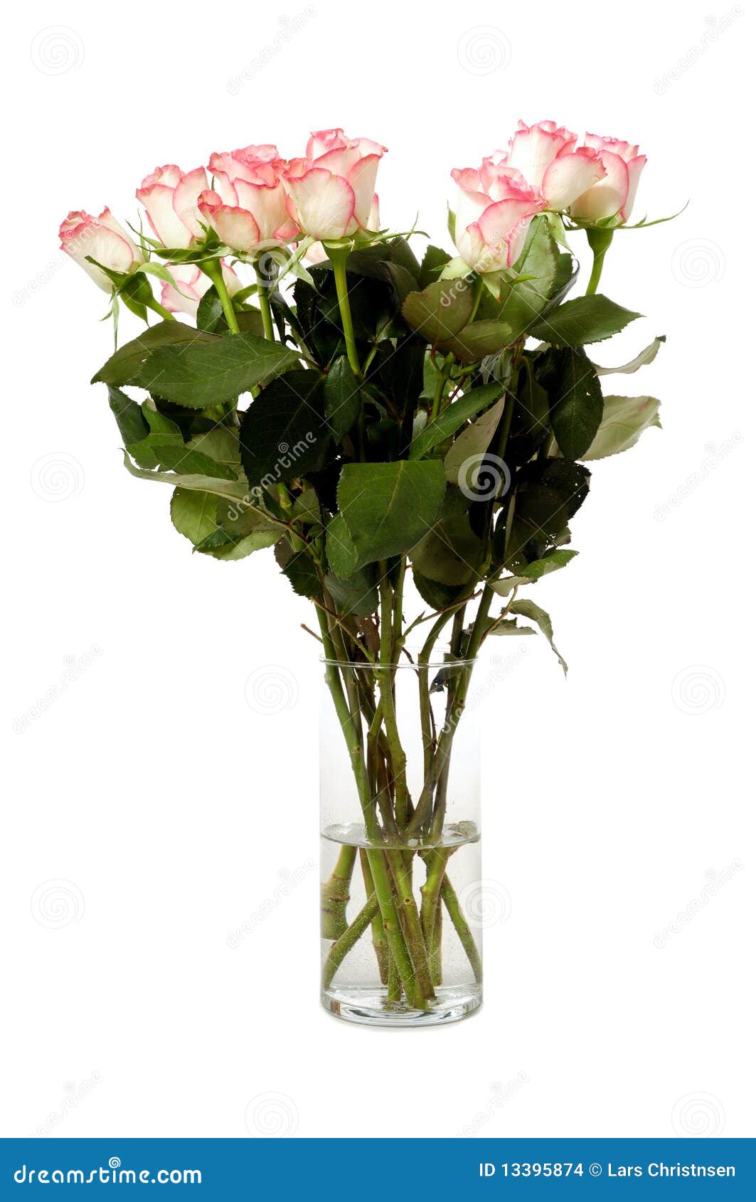 Roses in vase stock photo. Image of love, color, background - 13395874