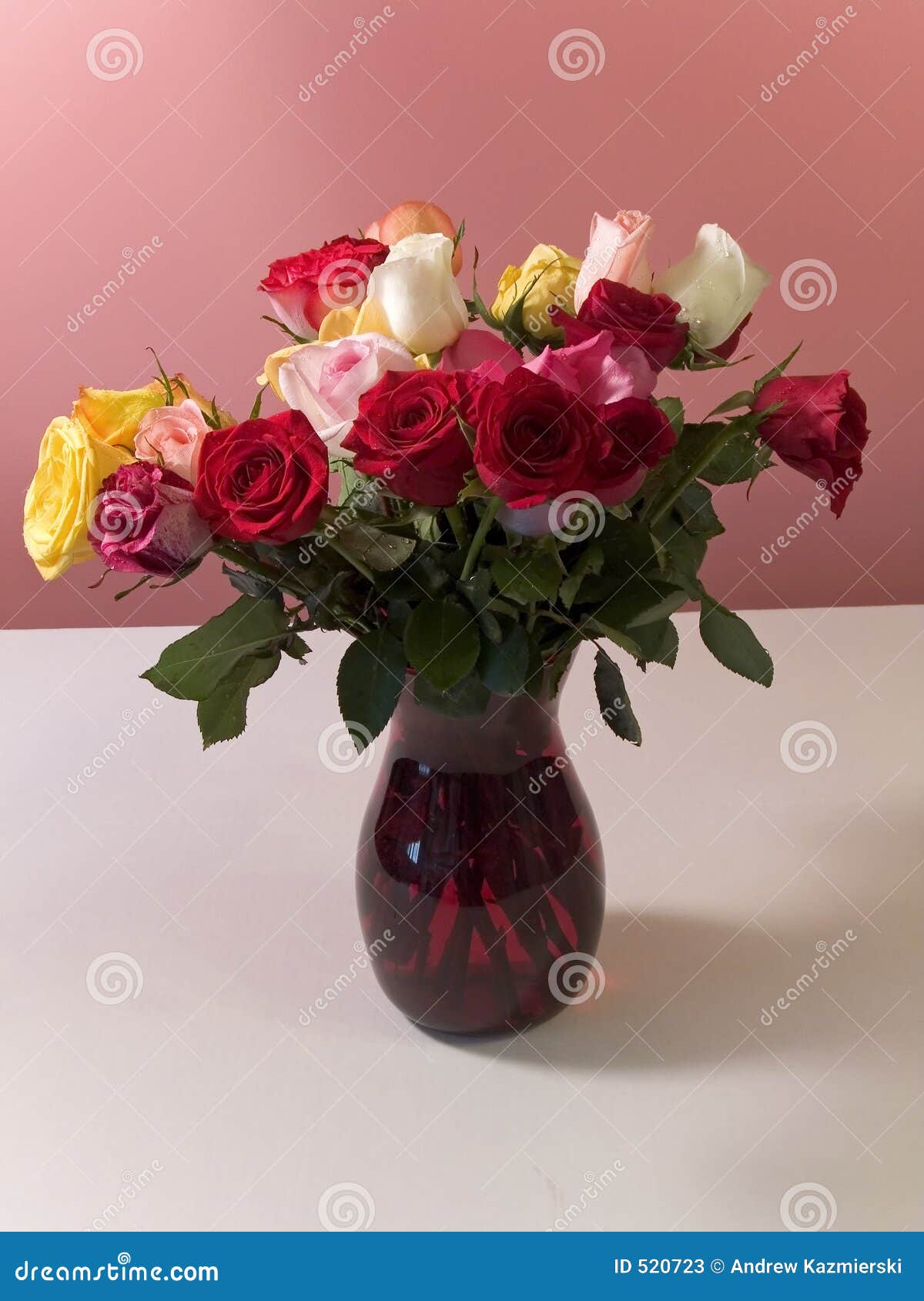 Roses in Vase stock image. Image of life, vase, shadow - 520723