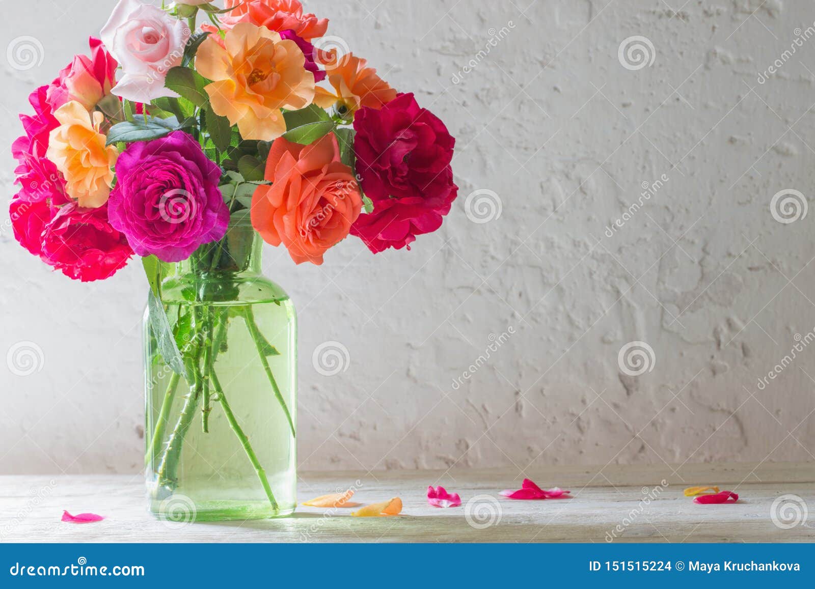 Roses in Vase on Background White Wall Stock Photo - Image of ...
