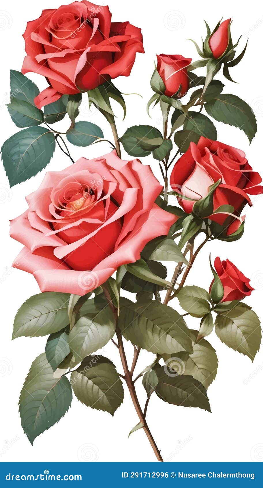 Roses, Roses Vector, Roses Bundle Illustration Stock Vector ...