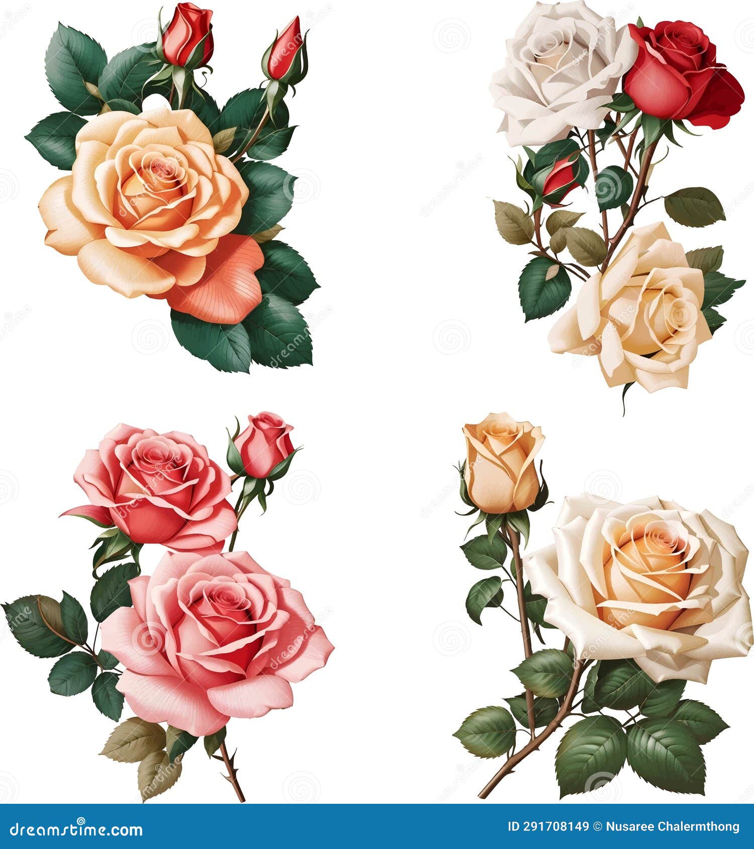 Roses Vector, Roses Bunch, Bundle Roses Vector 4 Pictures Per Set Stock ...