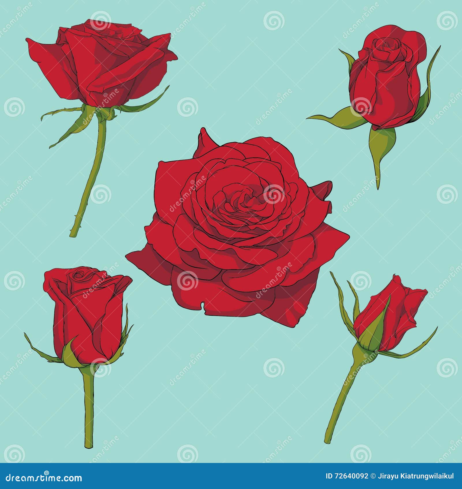 Roses vector set stock vector. Illustration of festive - 72640092