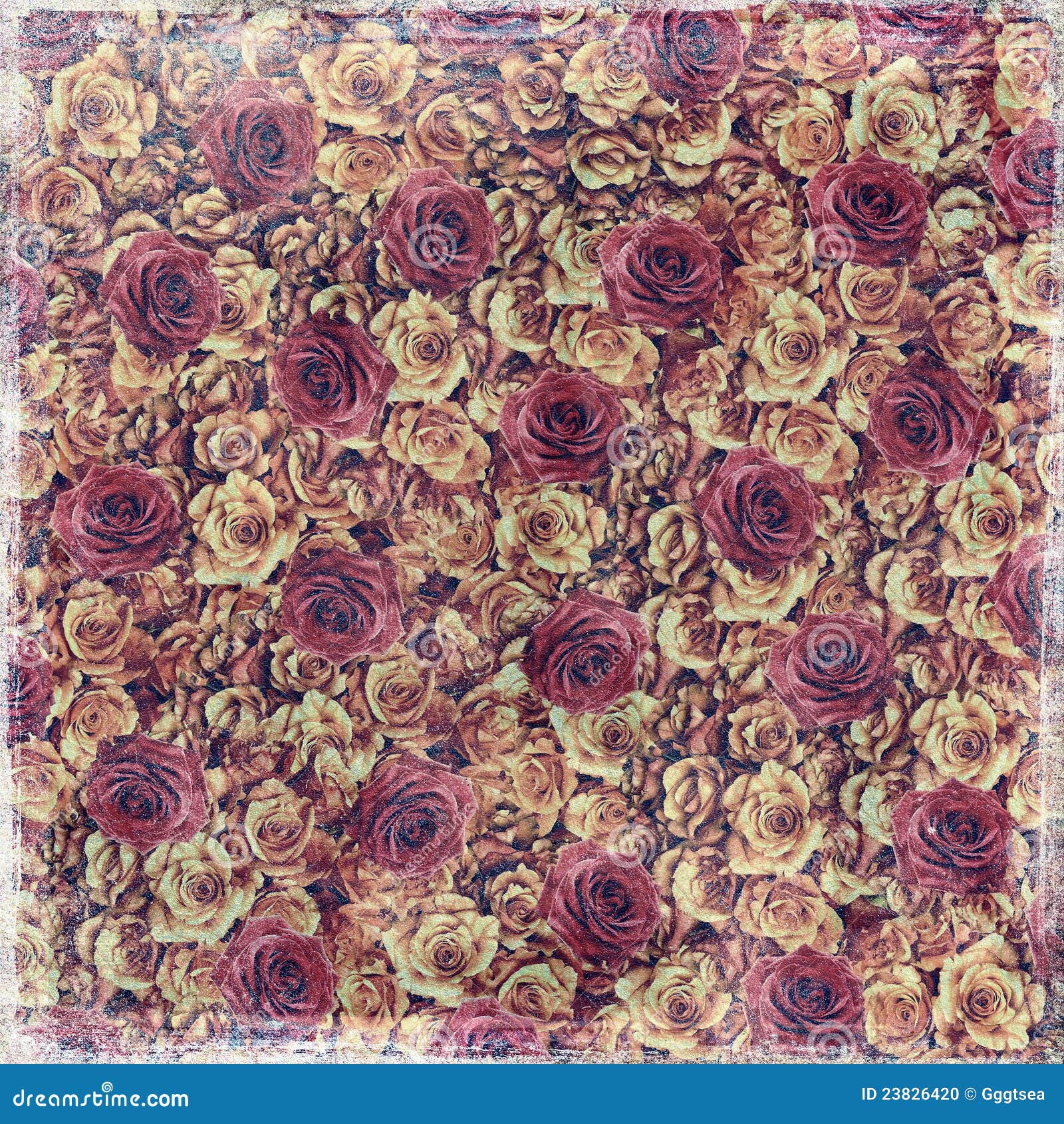 Roses vintage background stock photo. Image of flowers - 23826420