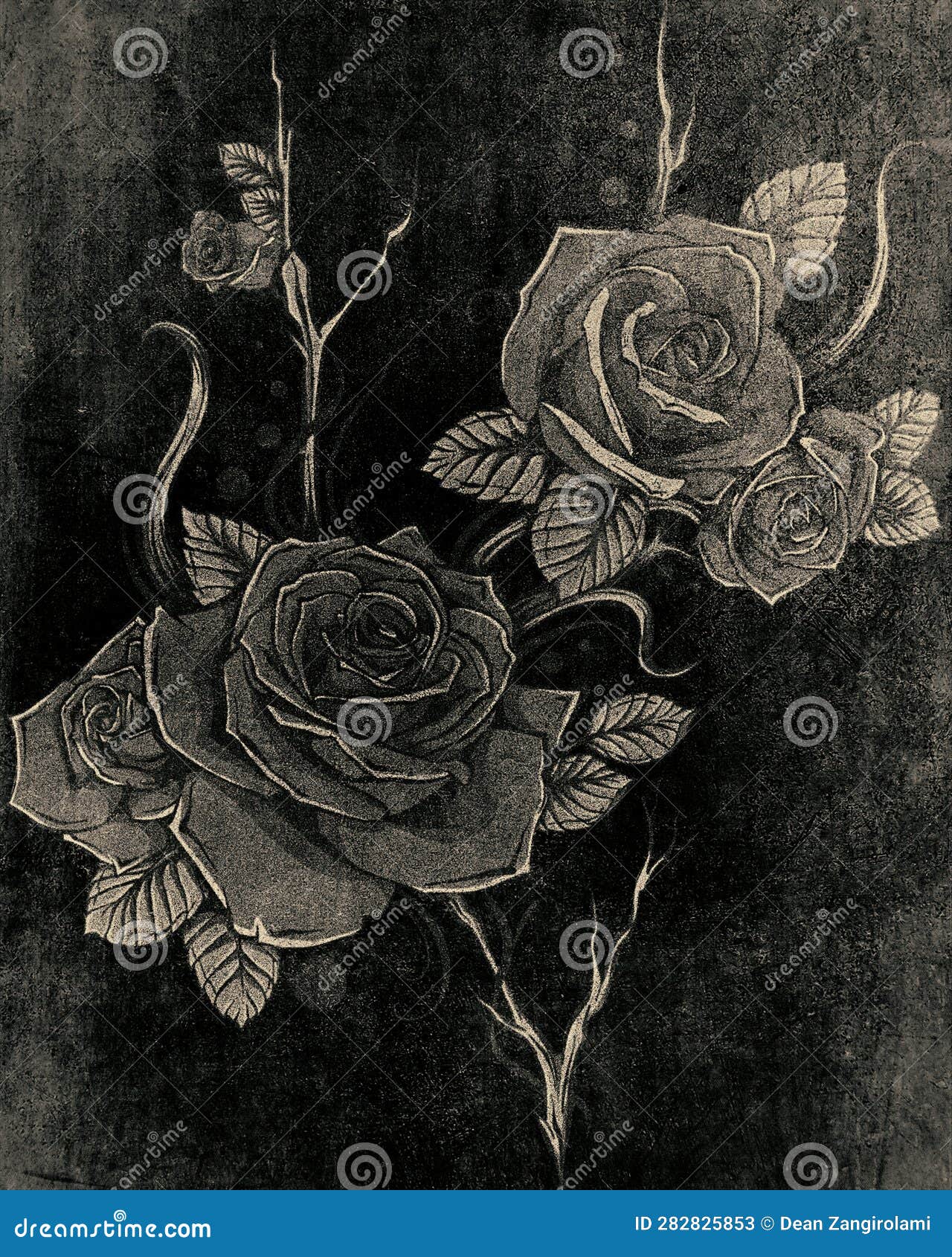 Roses in Vintage Engraved Illustration Stock Image - Image of love ...