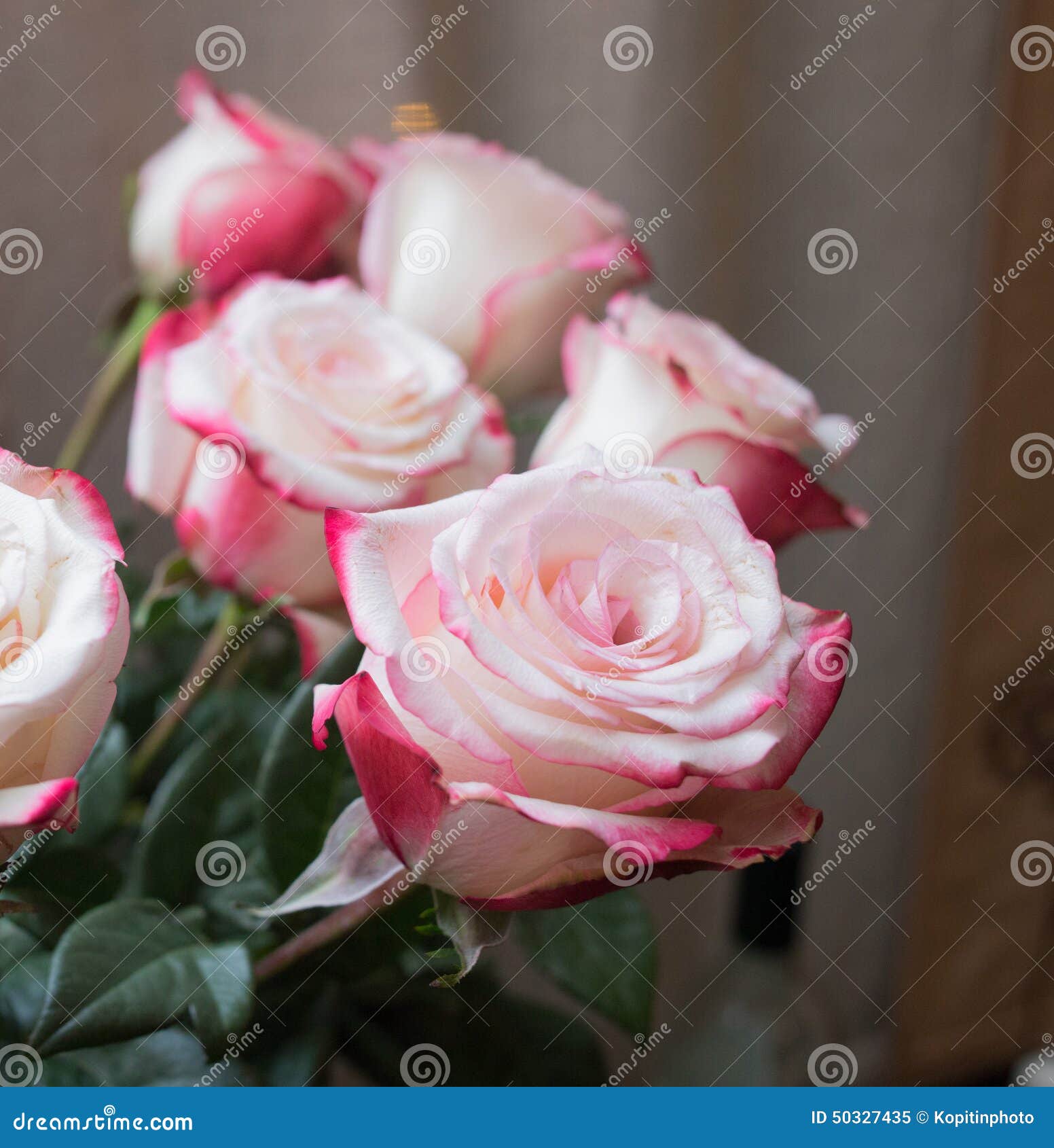 Roses in vintage style stock image. Image of color, romance - 50327435